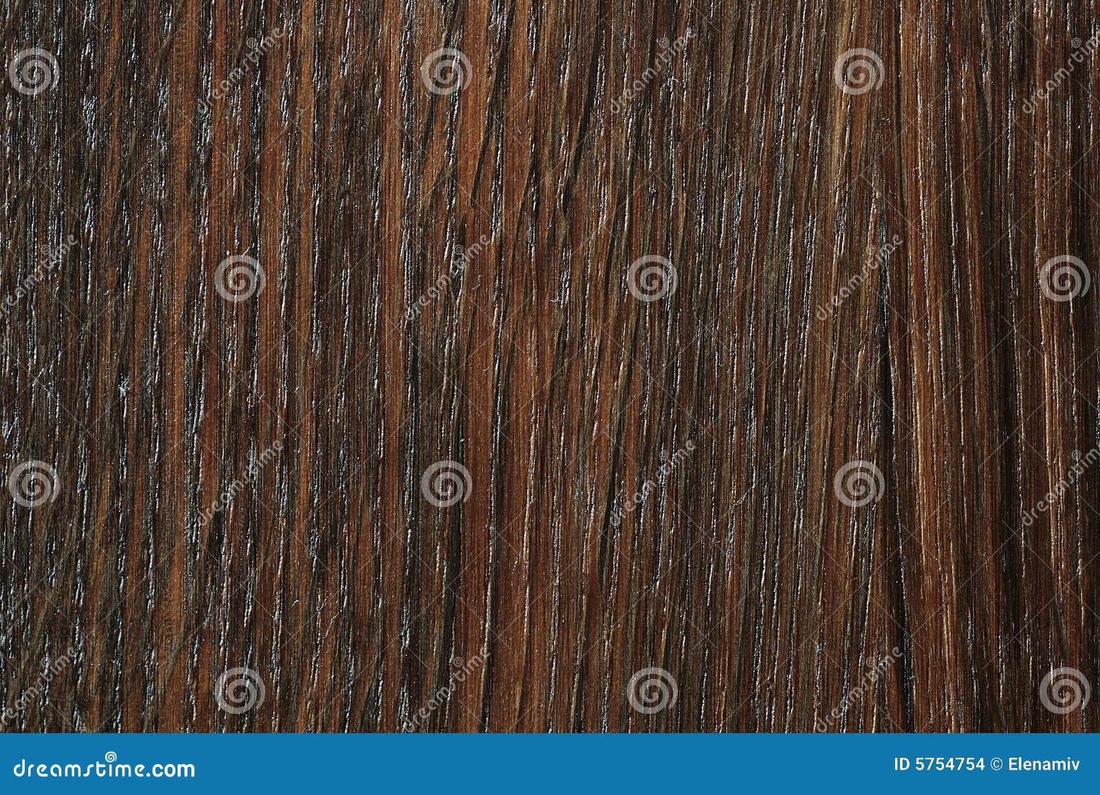 Wood texture. stock photo. Image of sample, close, pattern - 5754754