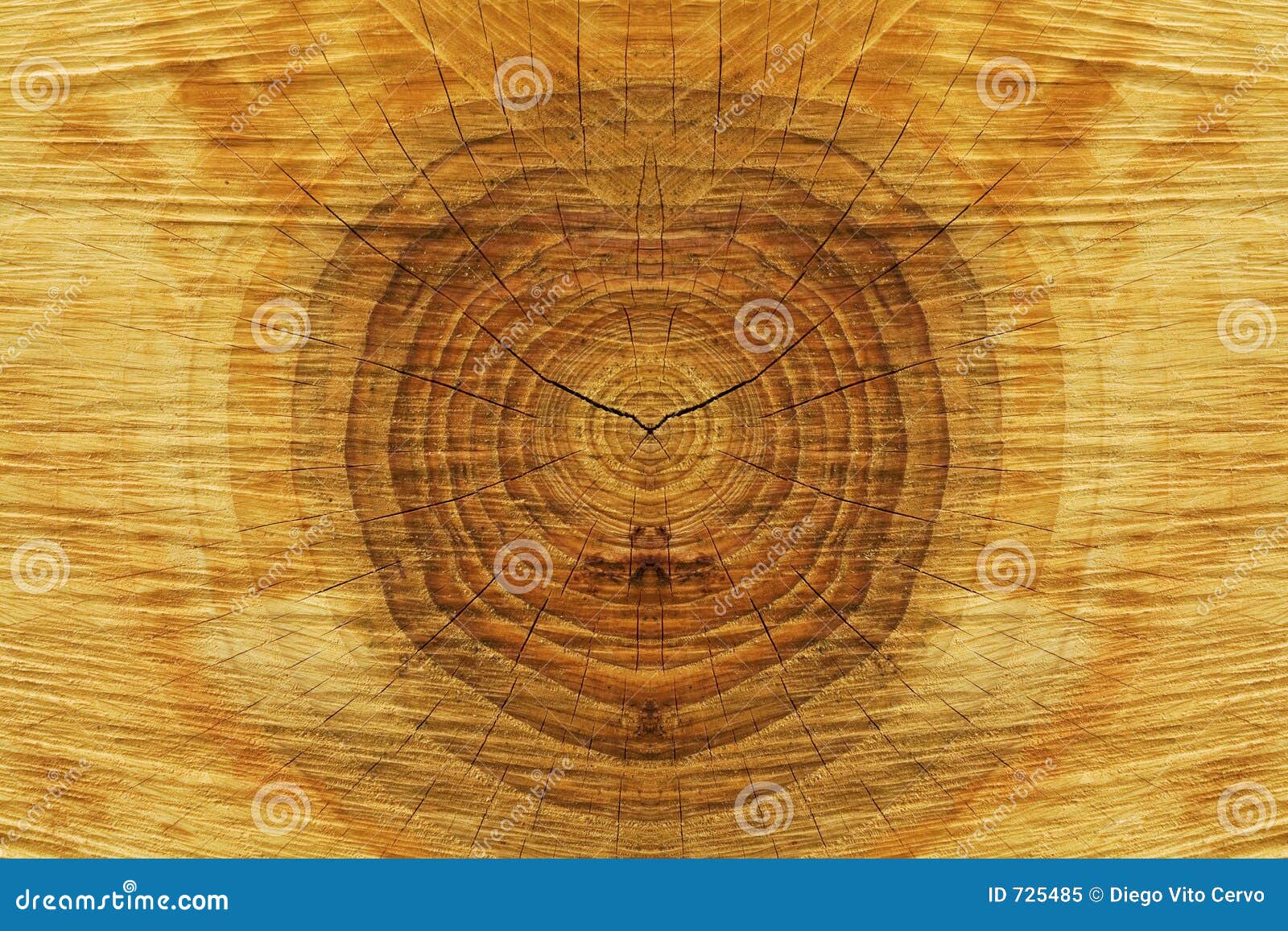 Wood-texture stock image. Image of cortex, birch, cellulose - 725485