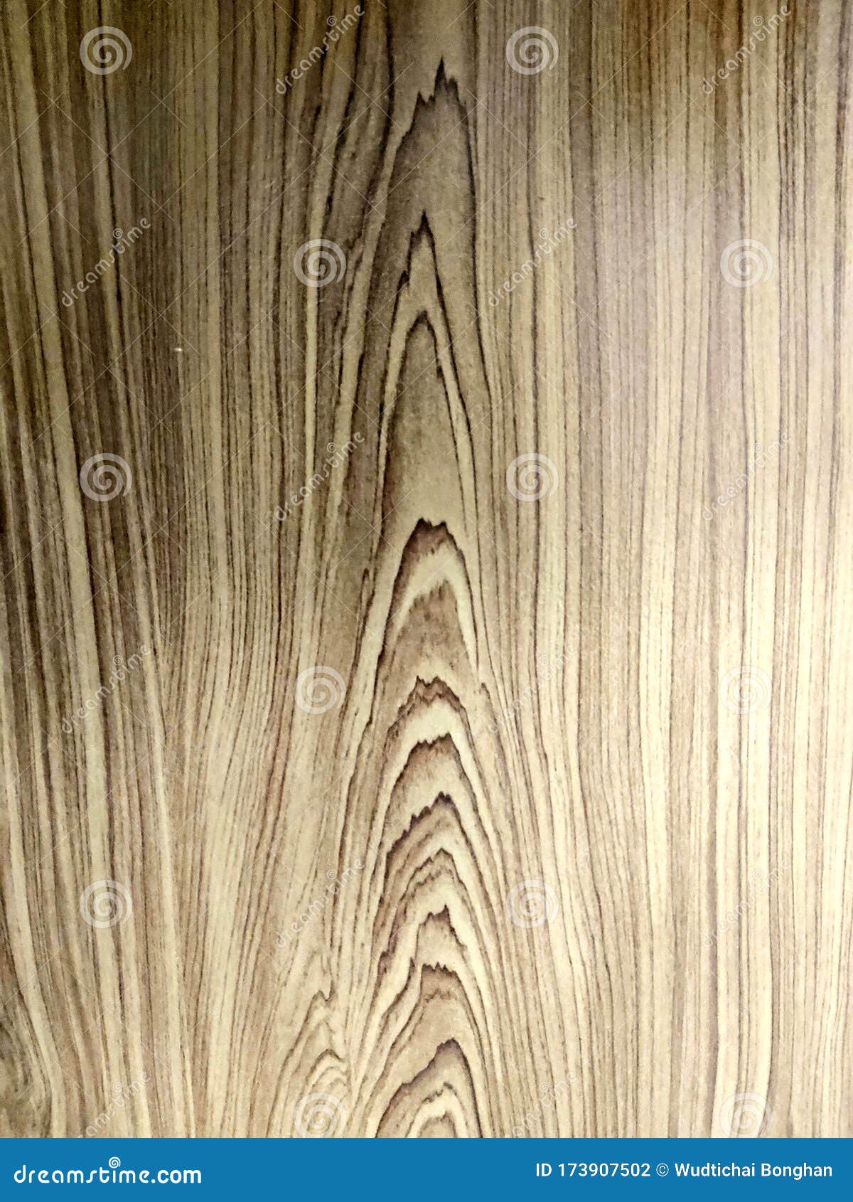 Wood Texture Art Tree Walpaper Stock Photo - Image of walpaper, texture ...
