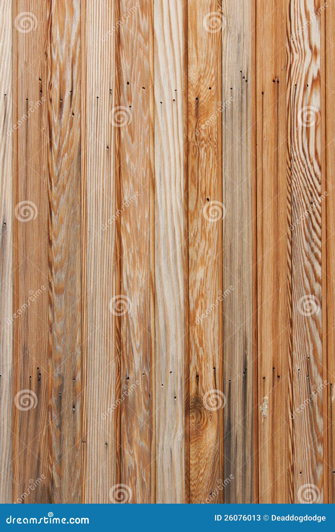 356 Chippy Background Photos - Free & Royalty-Free Stock Photos from ...