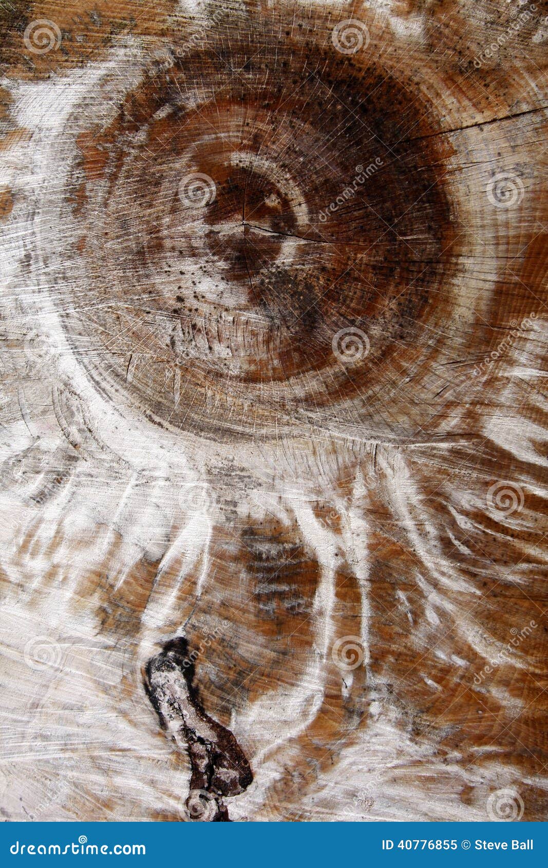 Wood texture background stock image. Image of radial - 40776855