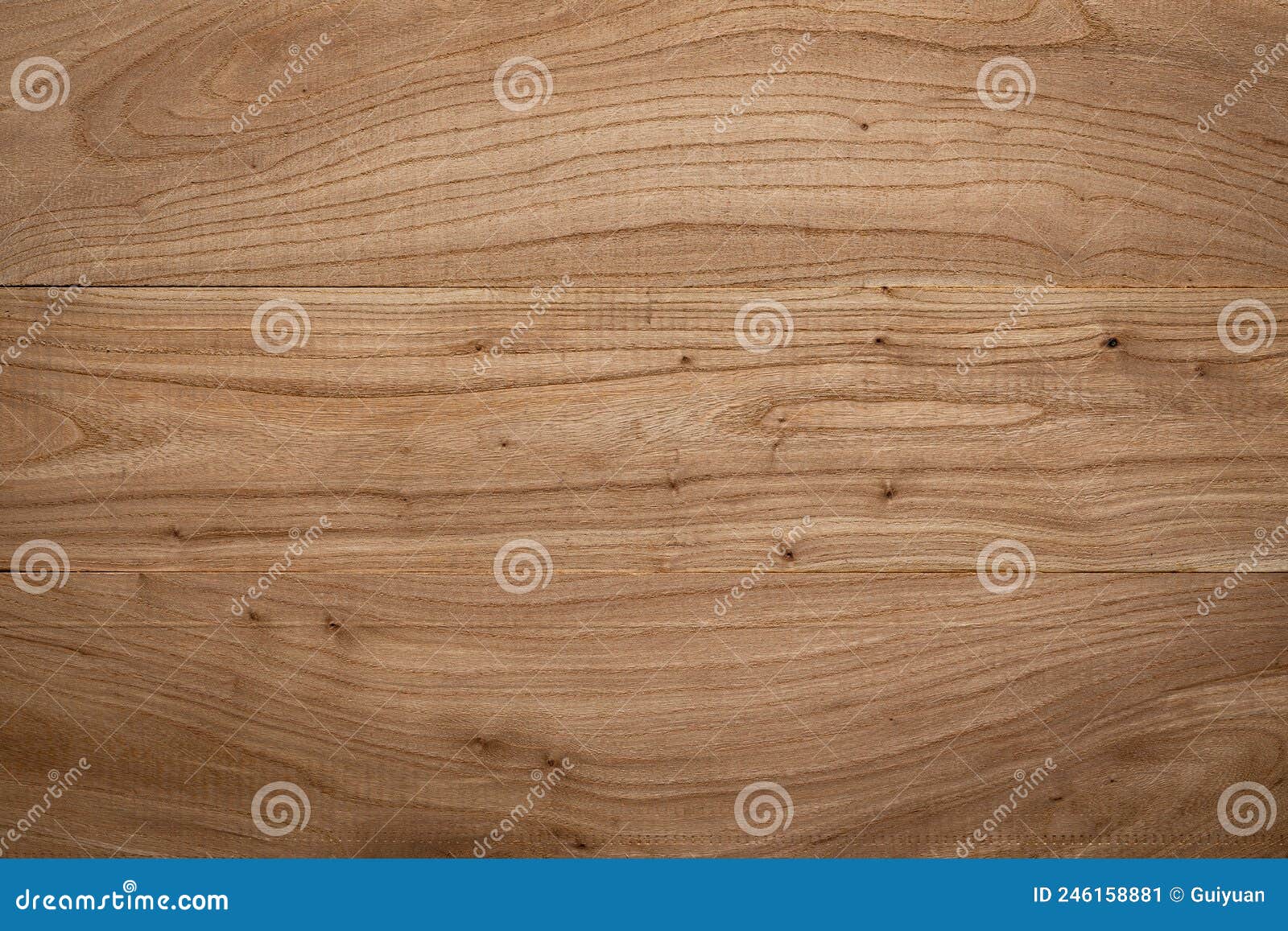 Wood Texture Background.Elm Plank Texture Background. Elm Wood Plank ...