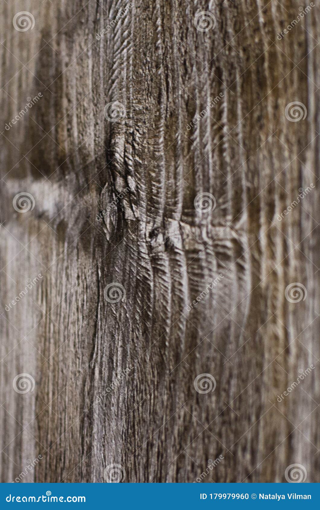 Wood Texture Background. Finishing Material for Design Stock Photo ...