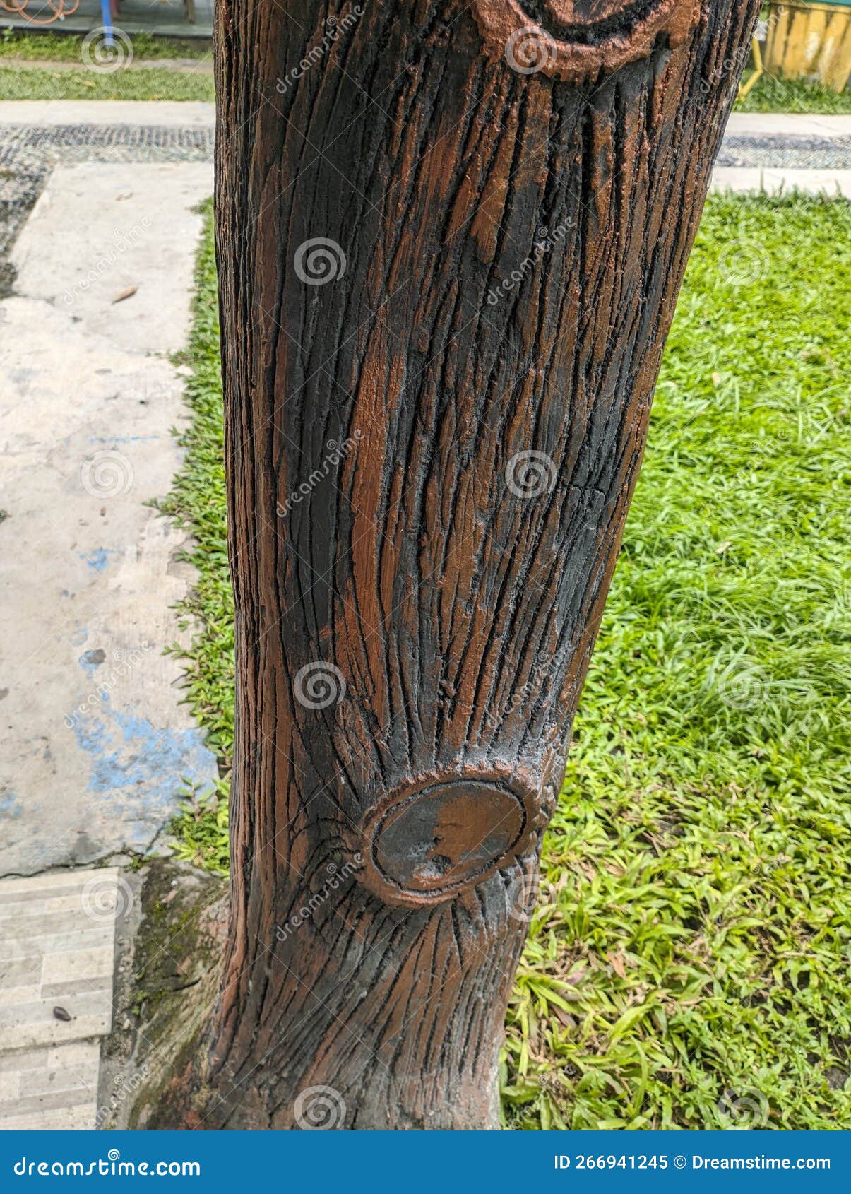 Wood Texture and Background of Large Wooden Trees in the Forest Stock ...