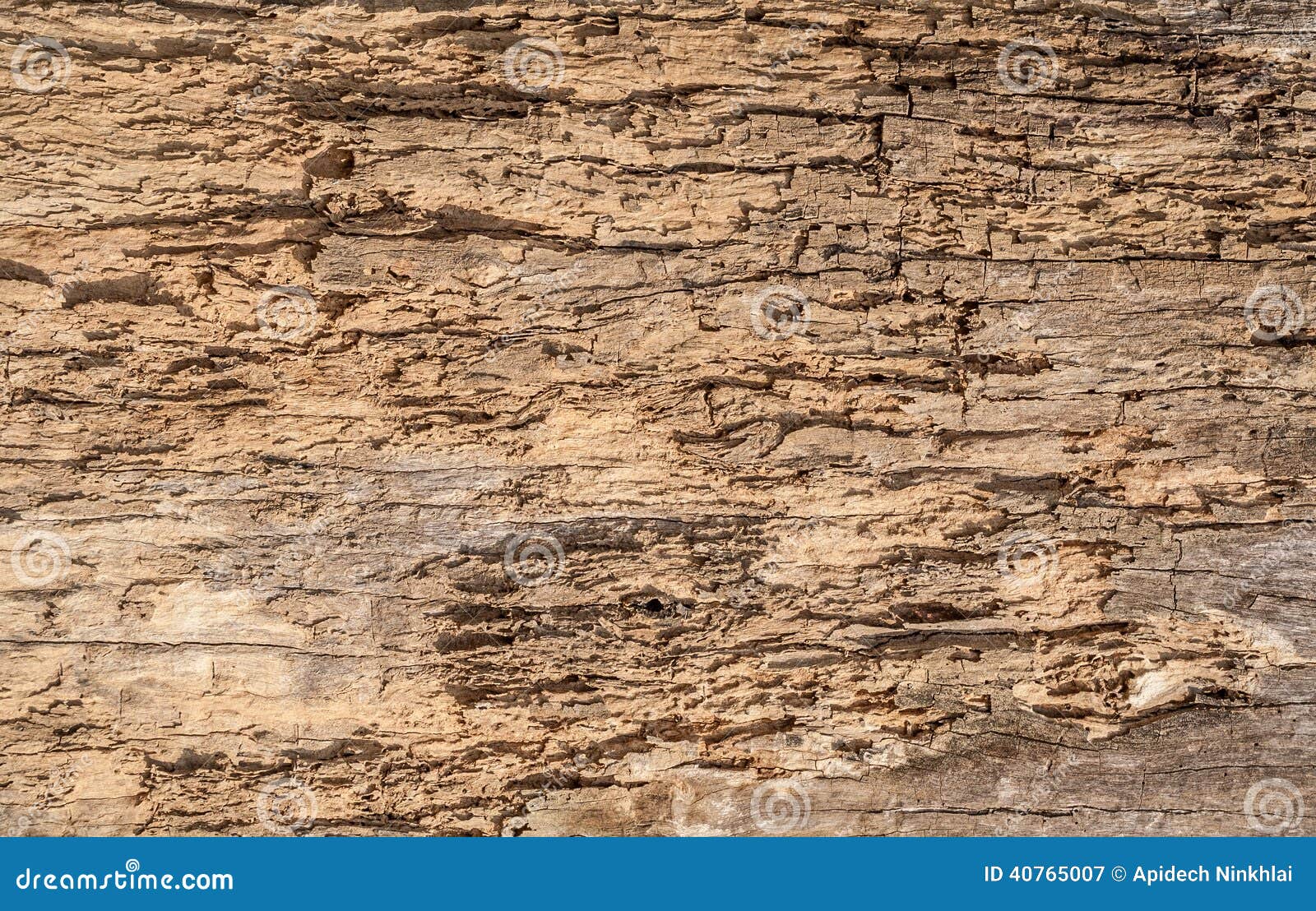 Wood texture background stock image. Image of knot, decay - 40765007