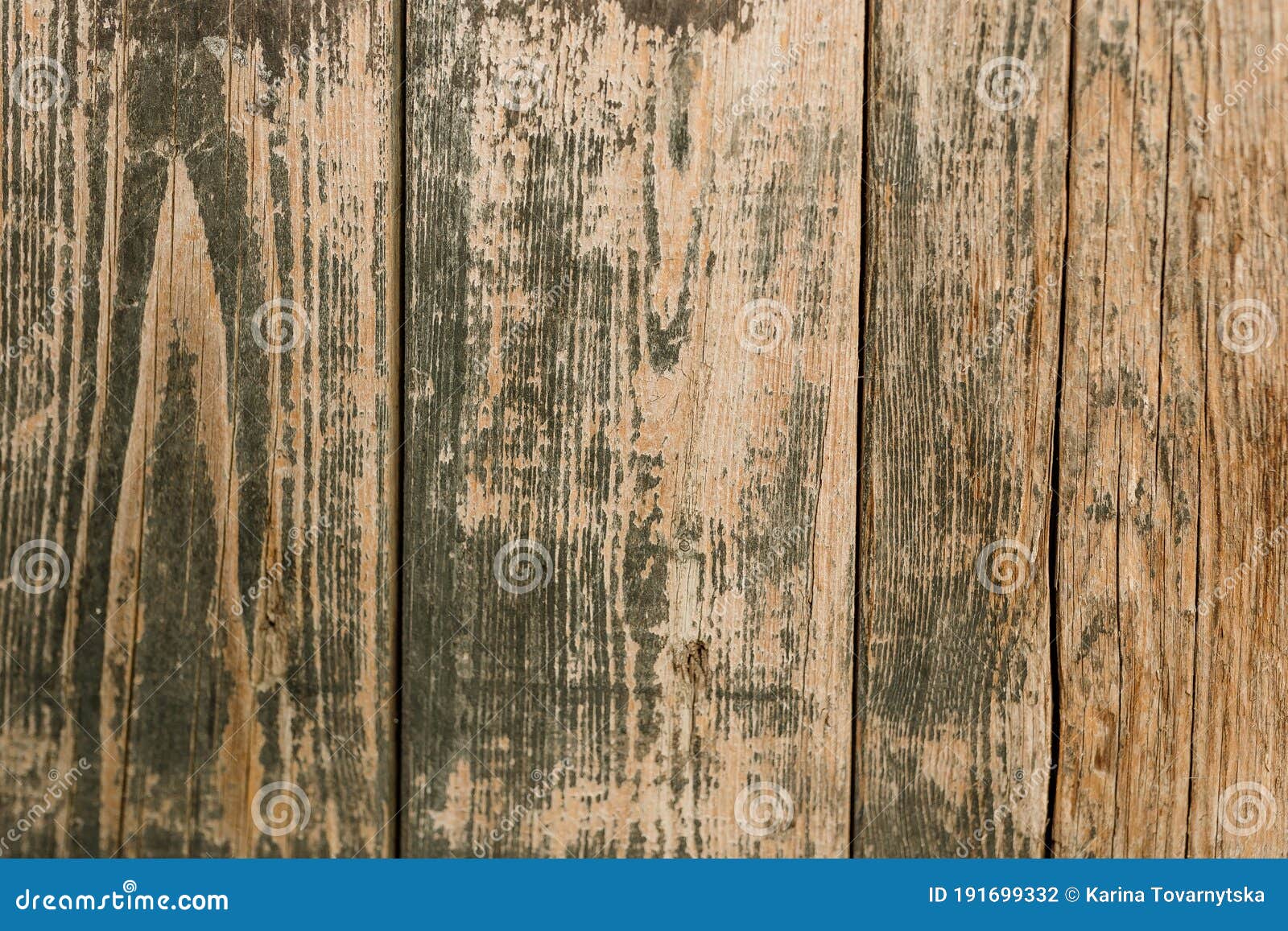 Wood Texture. Background Old Panels. Retro Vintage Wood Texture Royalty ...