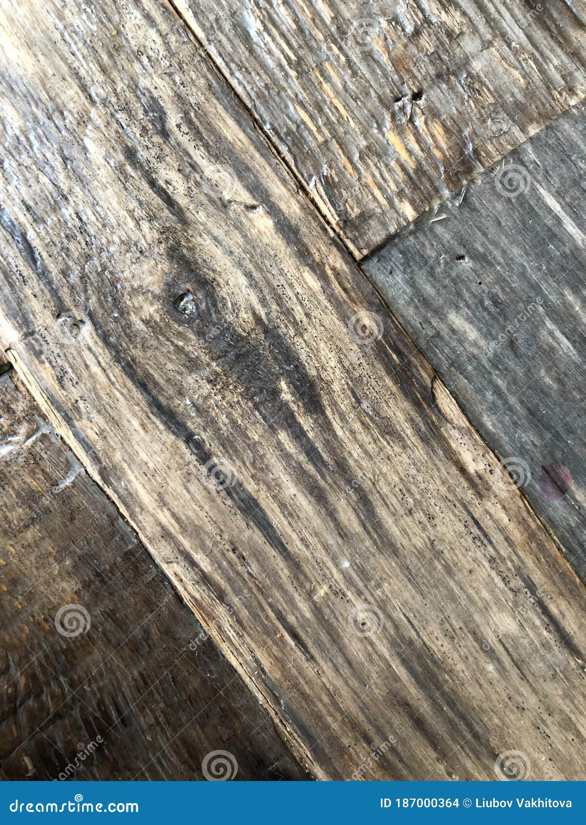 Wood Texture Background with Shadows Stock Photo - Image of carpentry ...