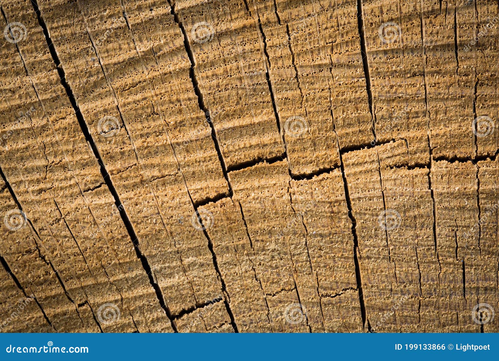 Wood Texture Background Surface. Stock Photo - Image of retro, closeup ...