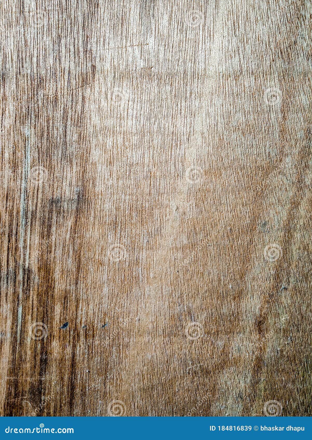 Wood Texture Background Yellow of Ply Wood. Stock Image - Image of ...
