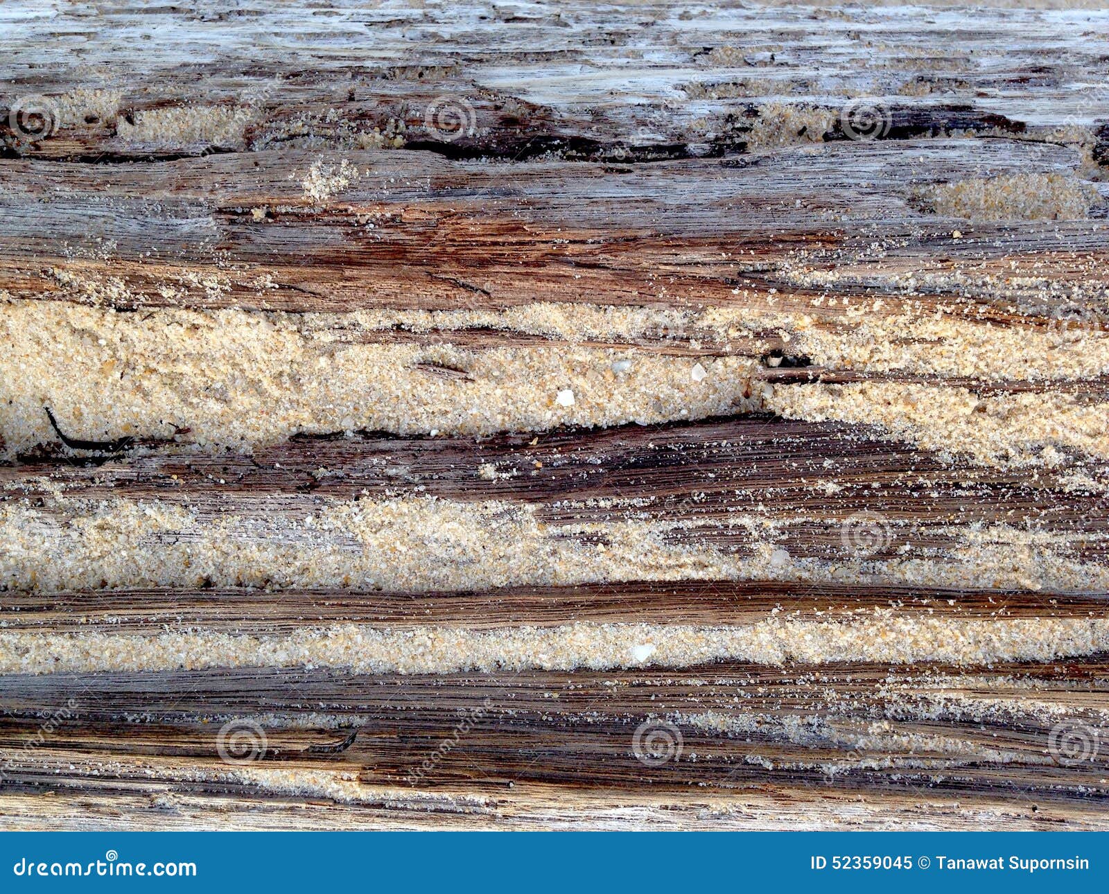 Wood texture on the beach stock image. Image of wood - 52359045