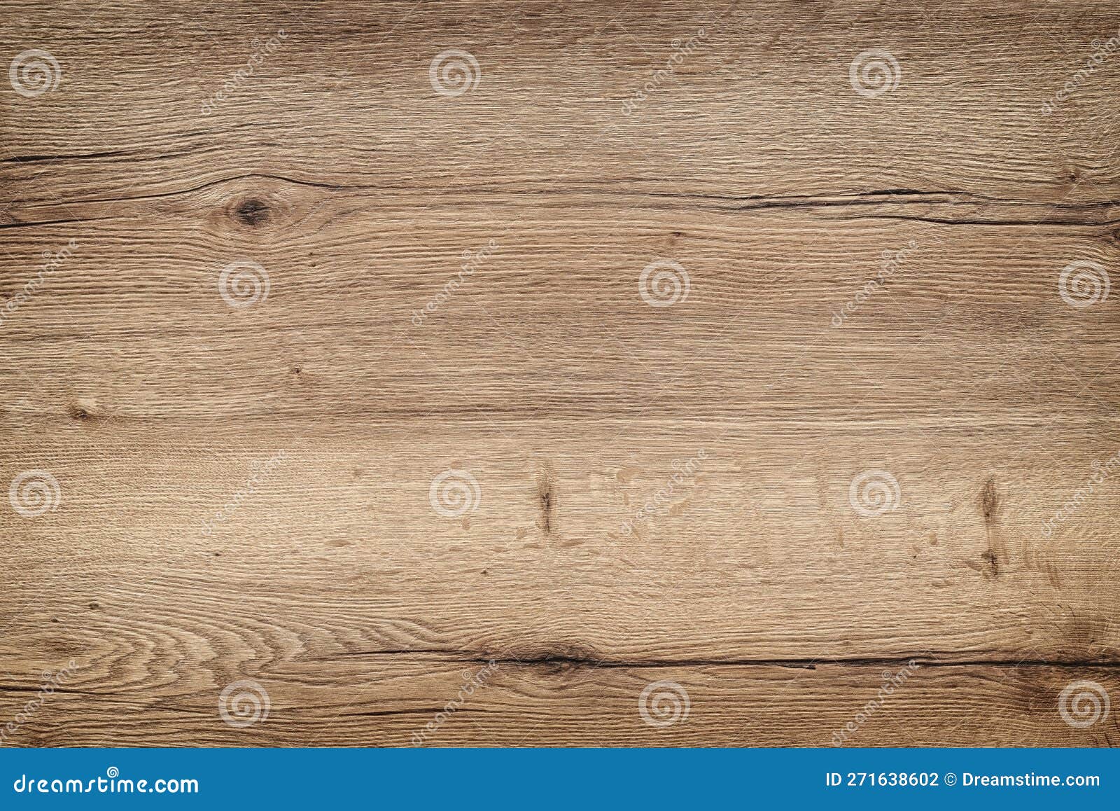Wood Texture of Bleached Oak Panel, Background. Stock Photo - Image of ...