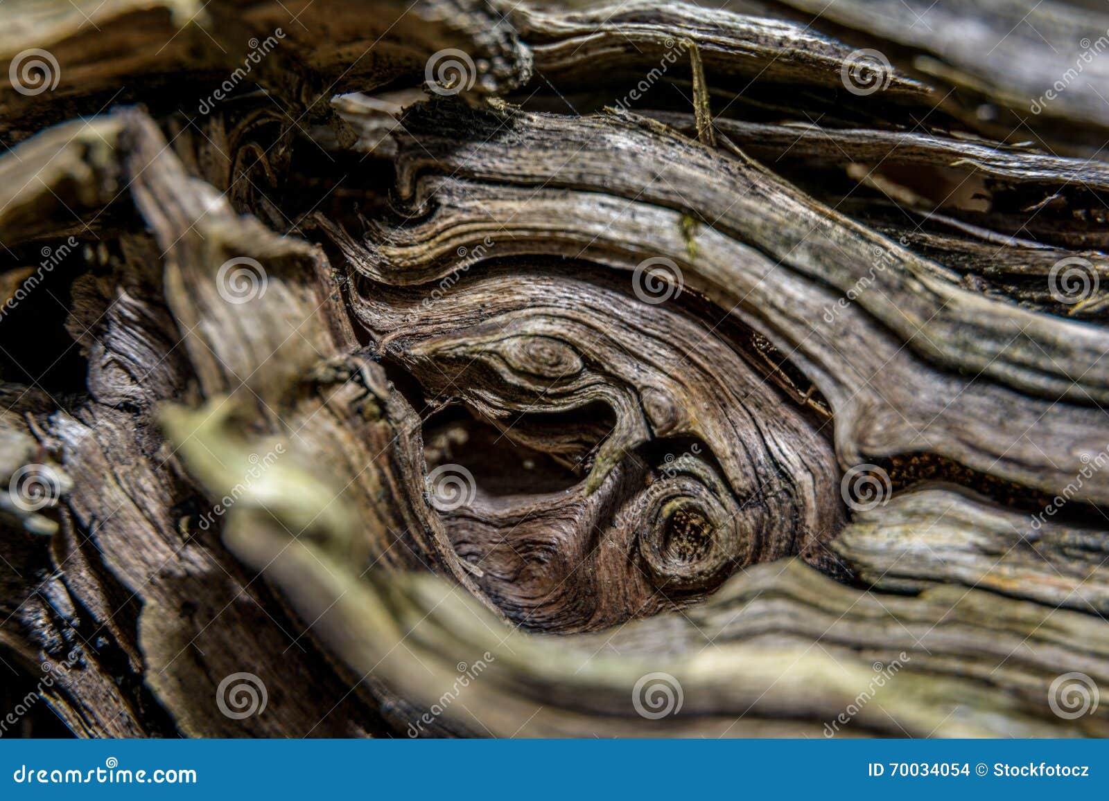 Really wood texture stock photo. Image of surface, decor - 70034054