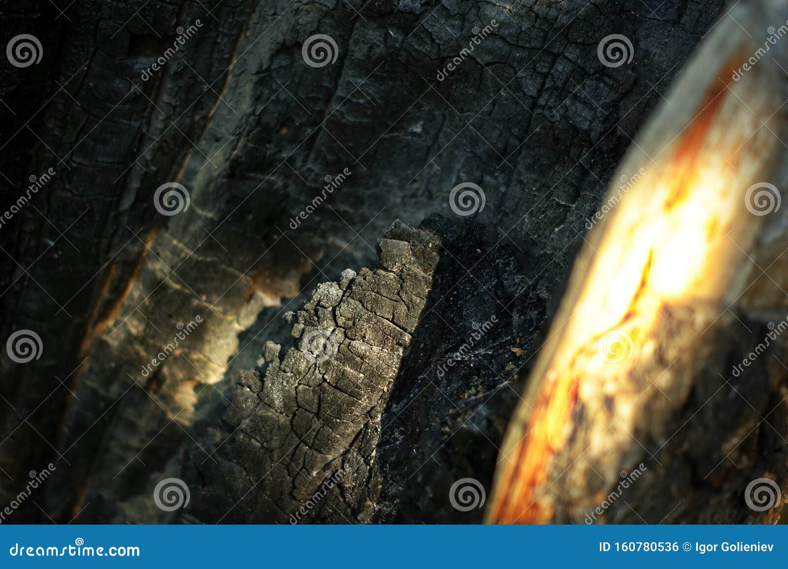 Wood Texture of Burnt Tree after Fire Stock Photo - Image of fossil ...