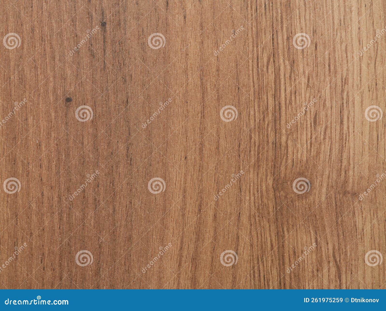 The Wood Texture of the Cabinet Lining is Pale in Color. with Patterns ...