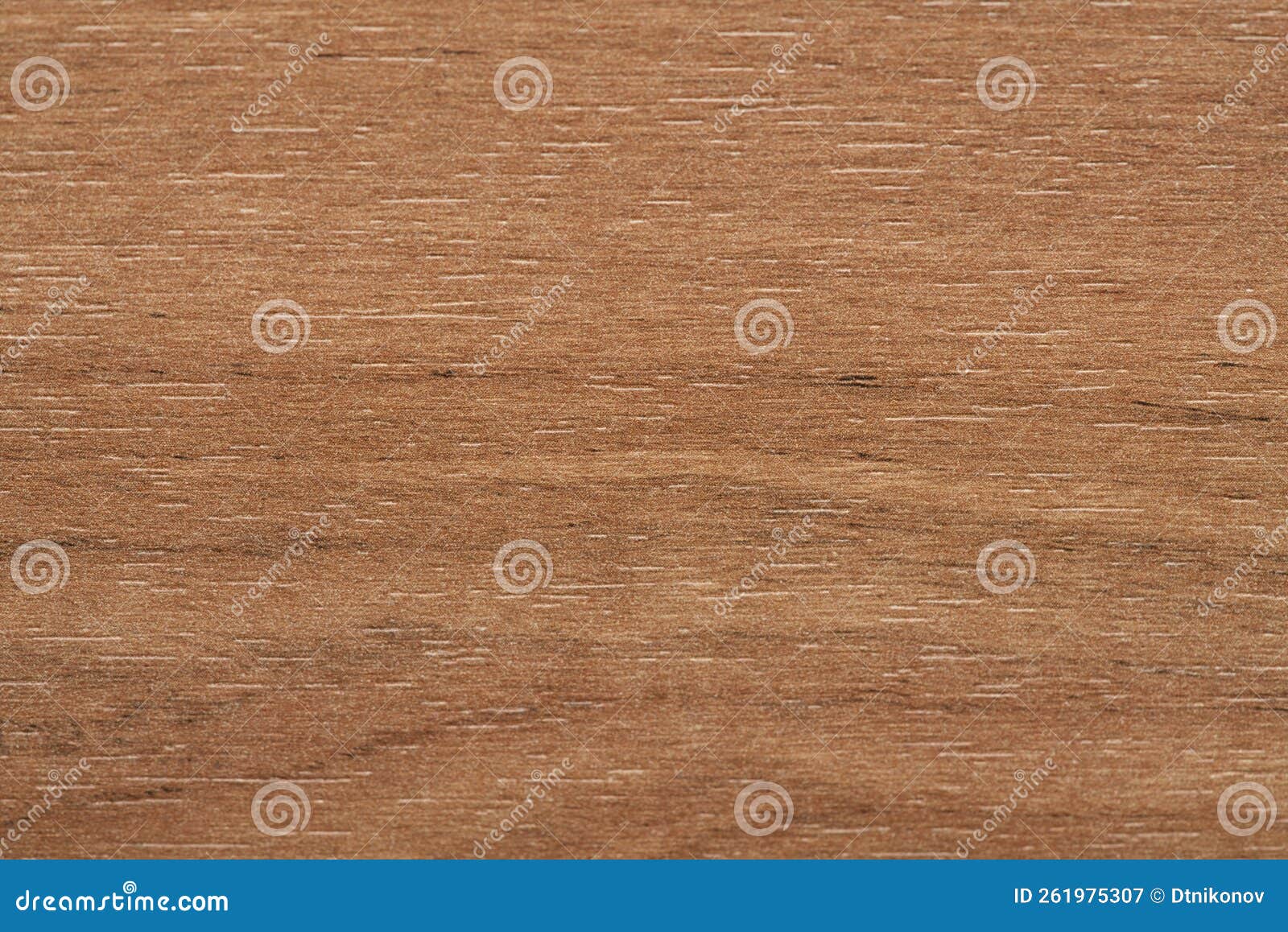 The Wood Texture of the Cabinet Lining is Pale in Color. with Patterns ...