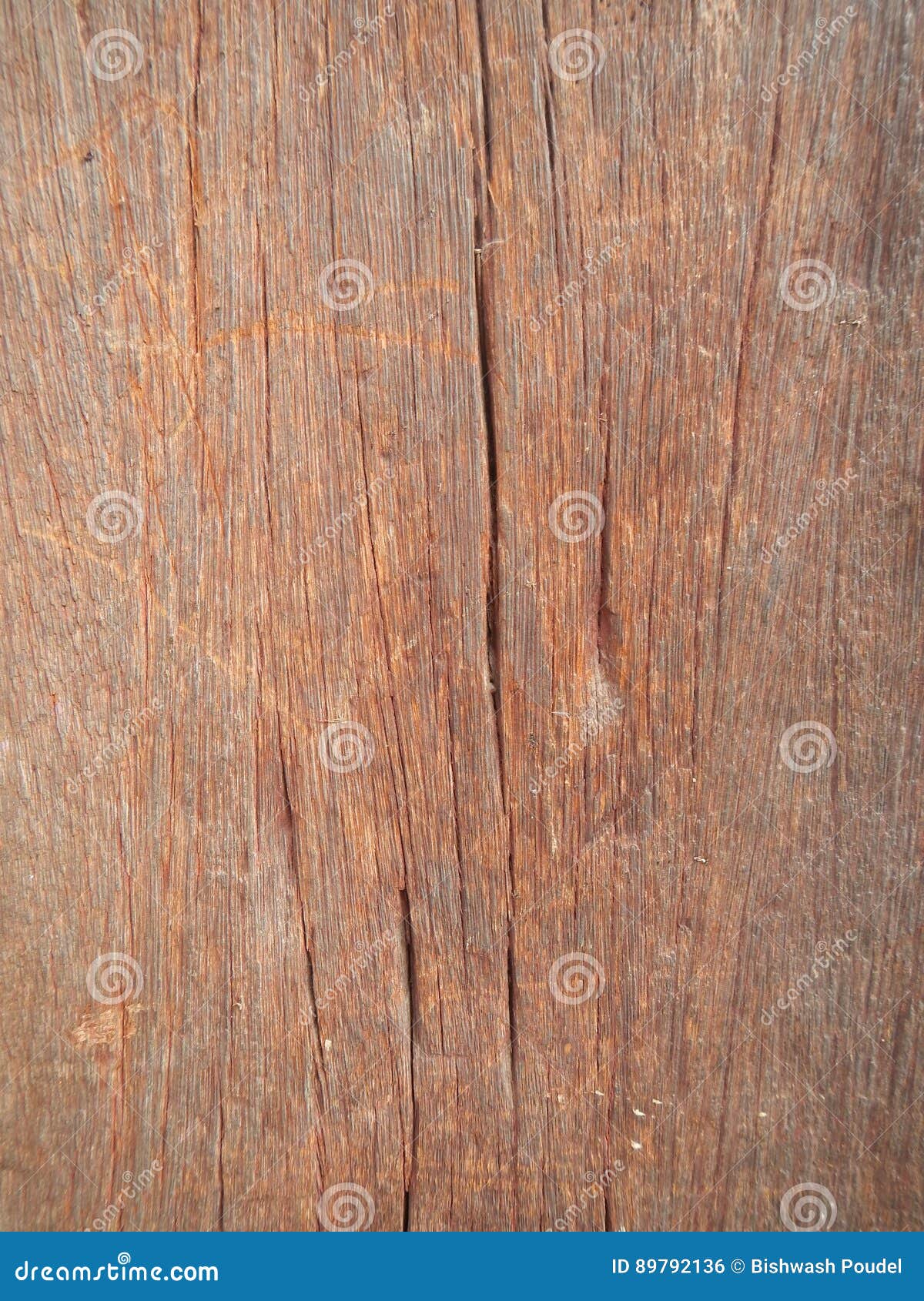 Wood Texture stock photo. Image of neplease, design, moss - 89792136