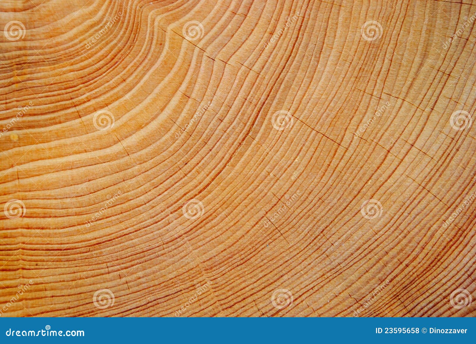 Wood texture close up stock photo. Image of aged, panel - 23595658