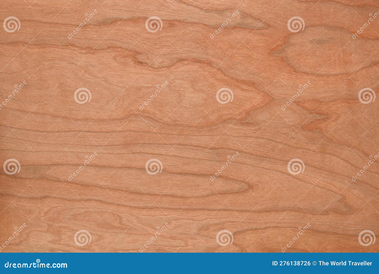Wood texture close up stock photo. Image of trunk, texture - 276138726