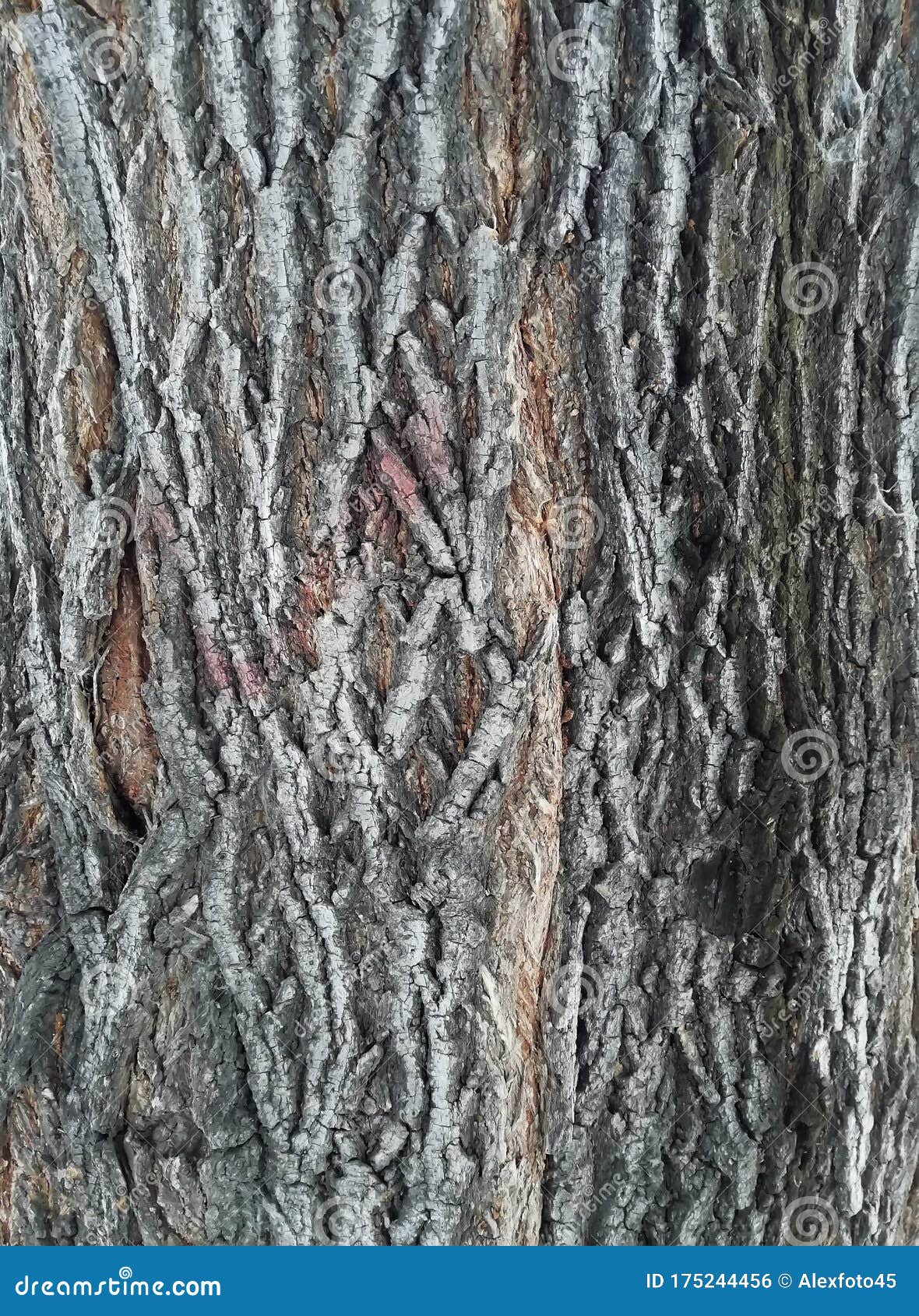 Wood Texture Closeup Side View Stock Photo - Image of bumpy, building ...