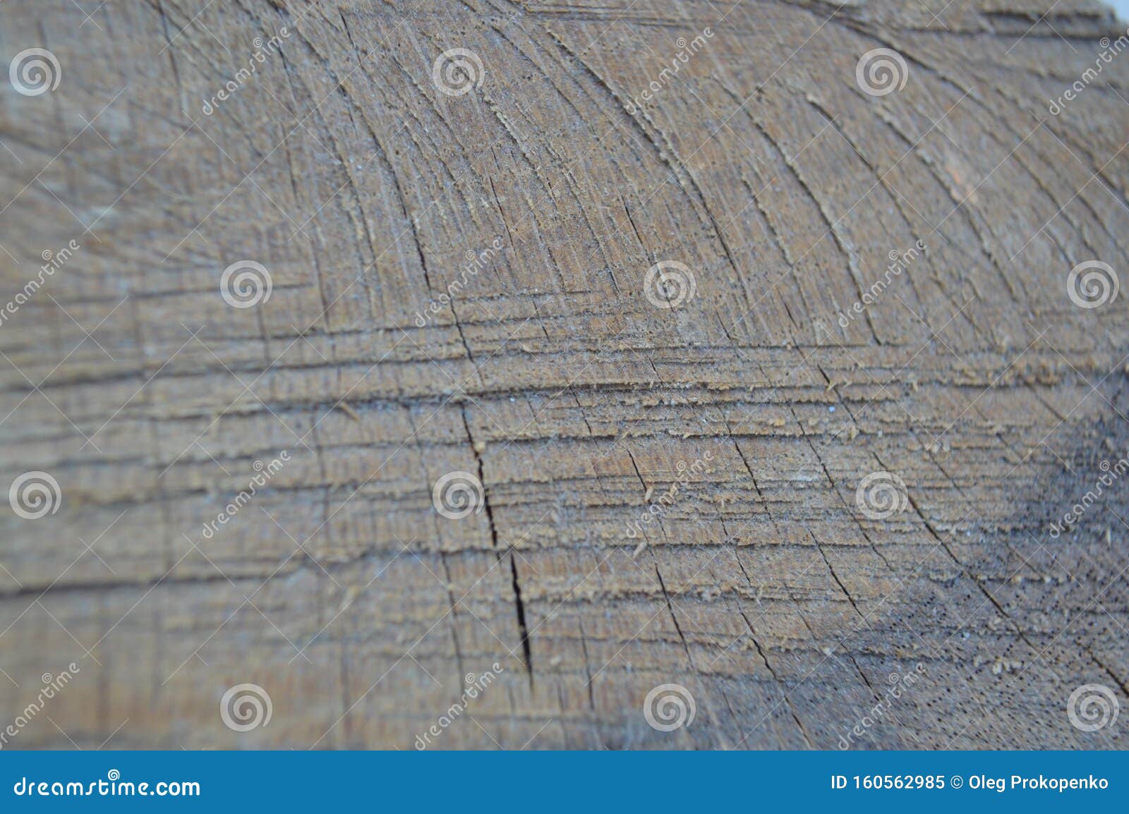 Wood Texture Closeup Structure of Sawn Timber Stock Image - Image of ...