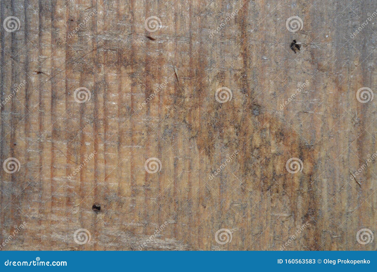 Wood Texture Closeup Structure of Sawn Timber Stock Image - Image of ...
