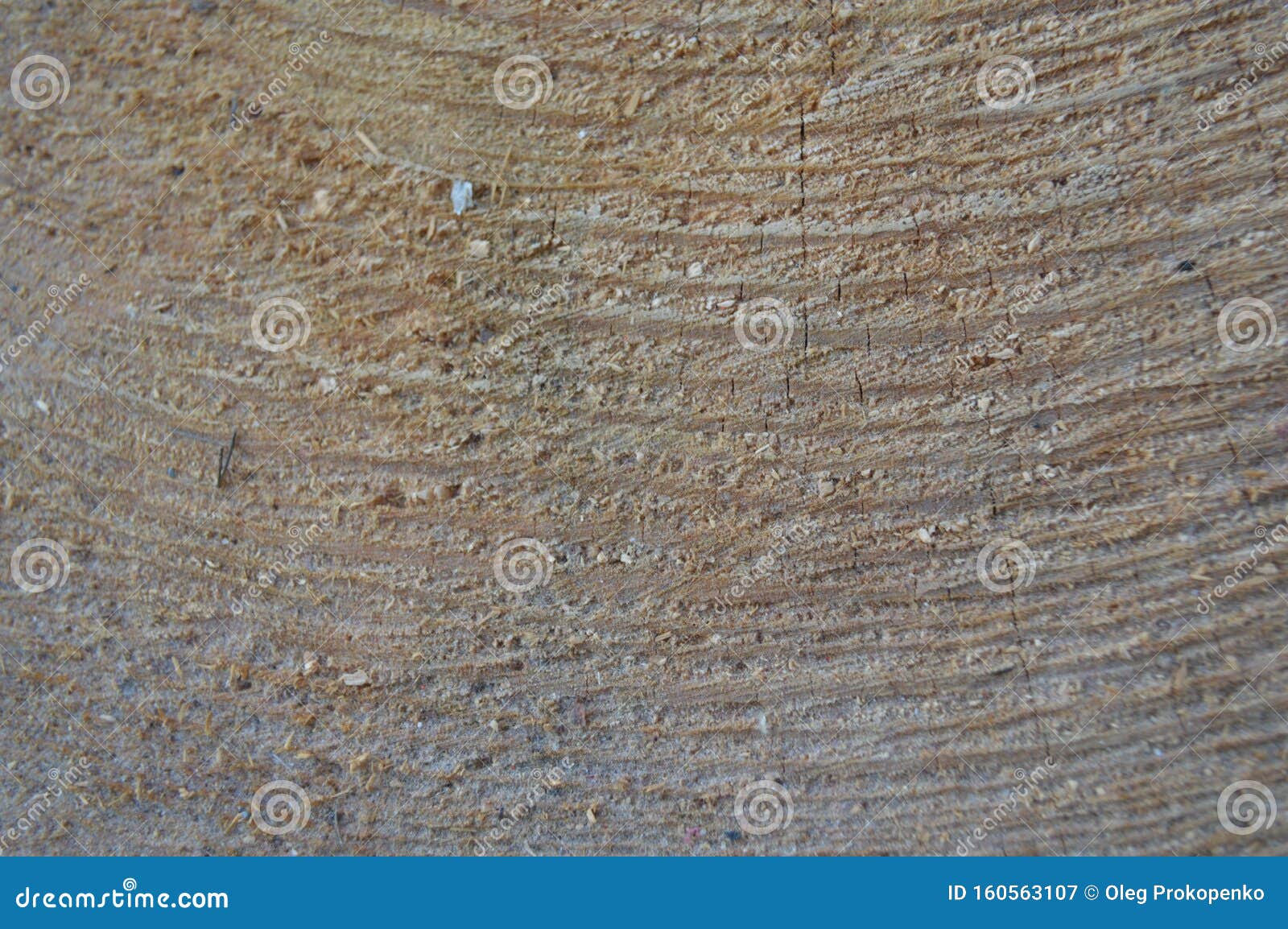 Wood Texture Closeup Structure of Sawn Timber Stock Image - Image of ...