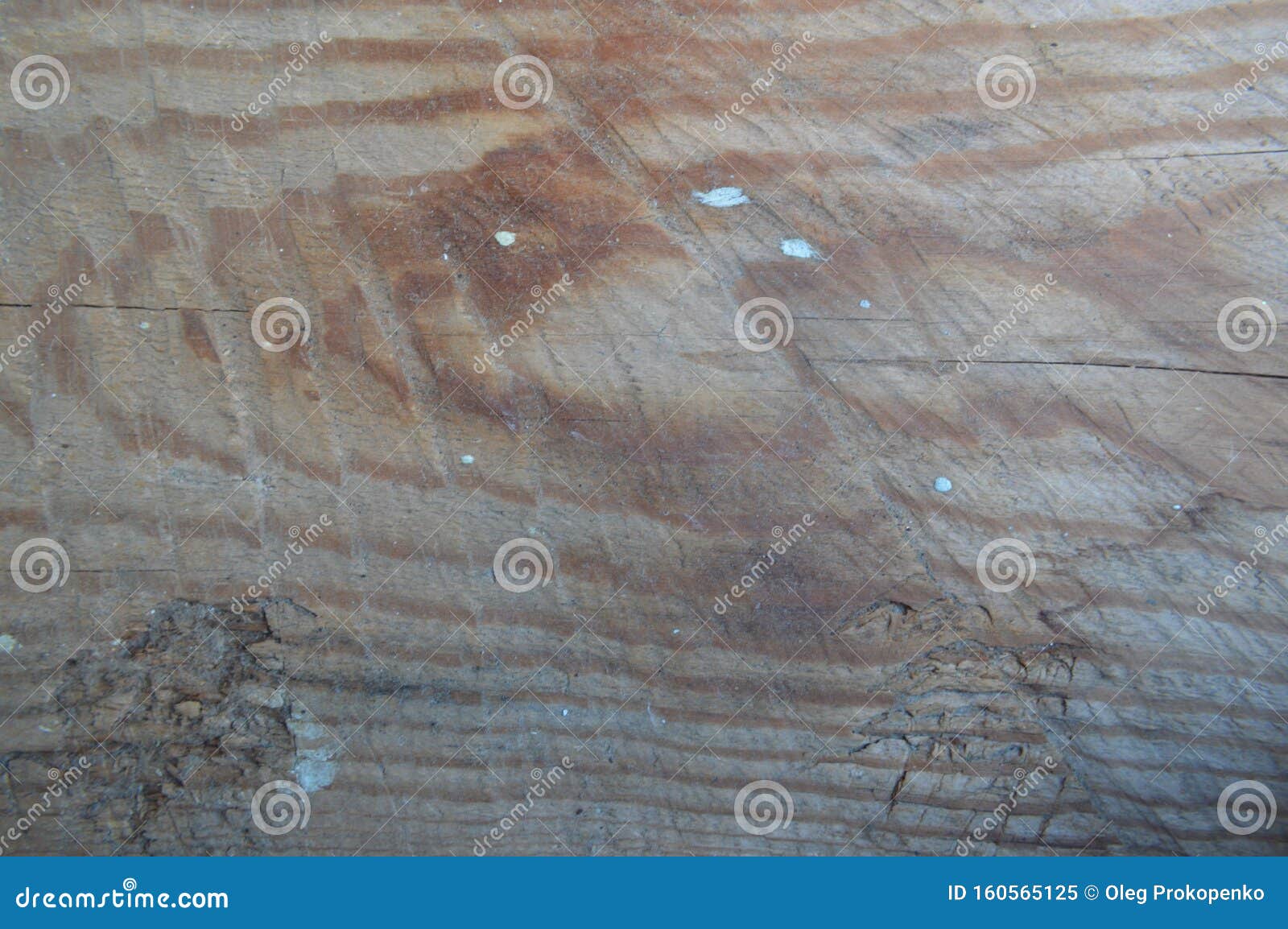 Wood Texture Closeup Structure of Sawn Timber Stock Image - Image of ...