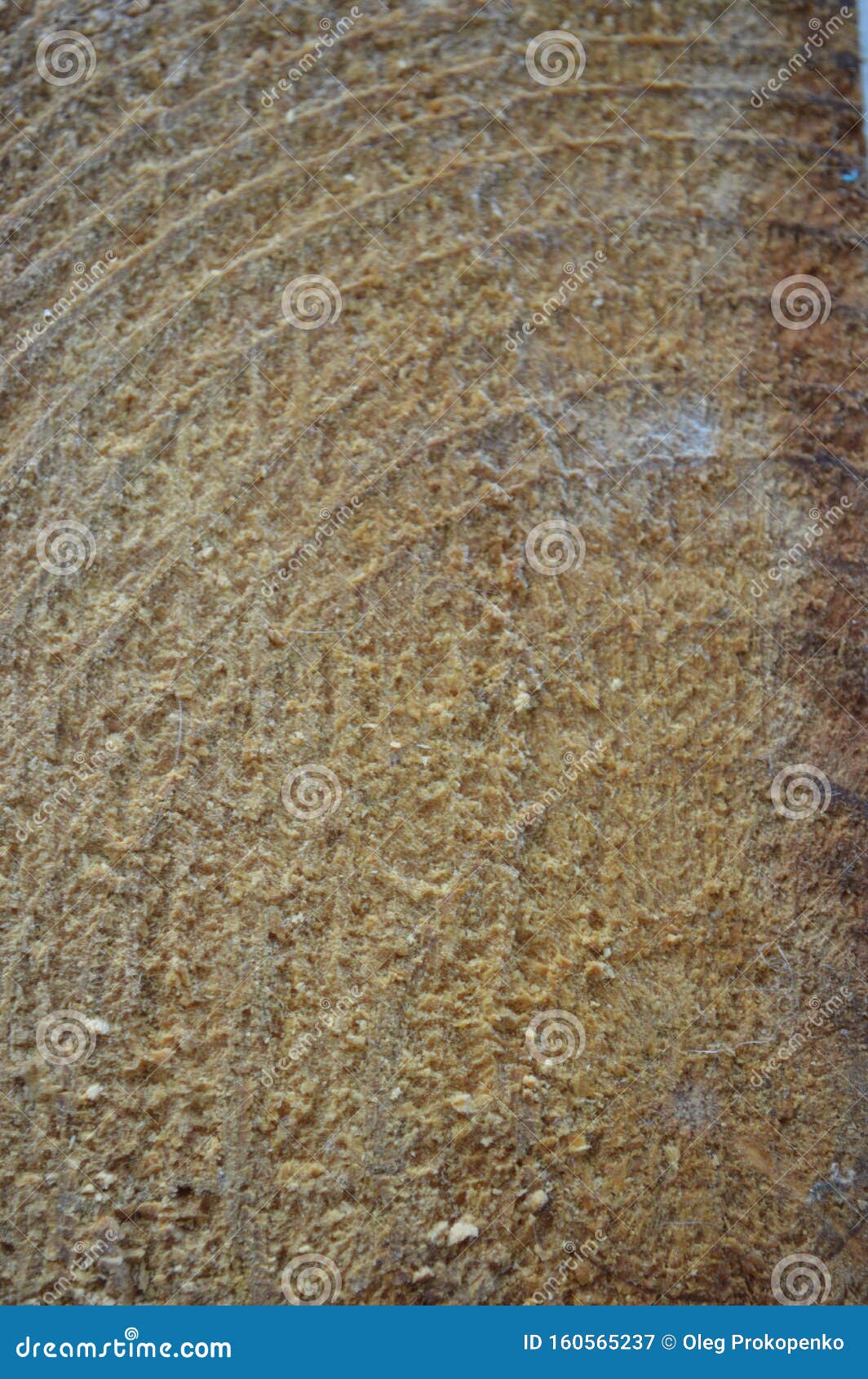 Wood Texture Closeup Structure of Sawn Timber Stock Image - Image of ...