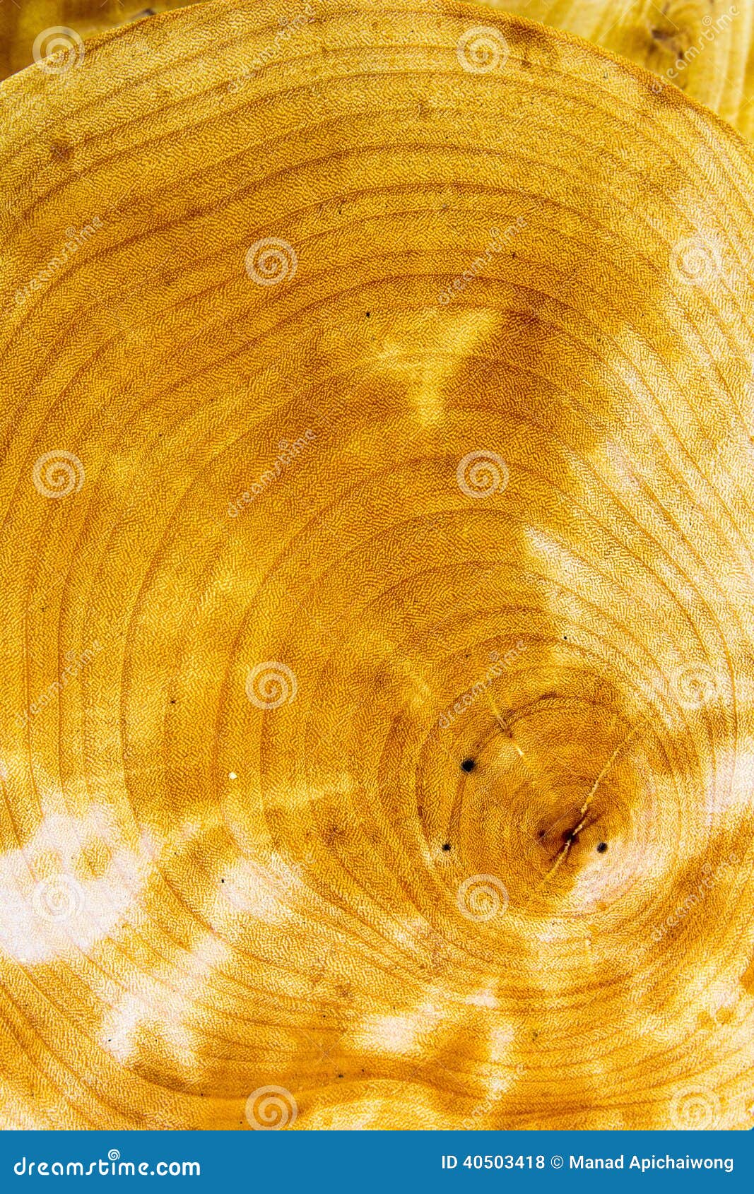 Wood texture stock photo. Image of board, pattern, macro - 40503418