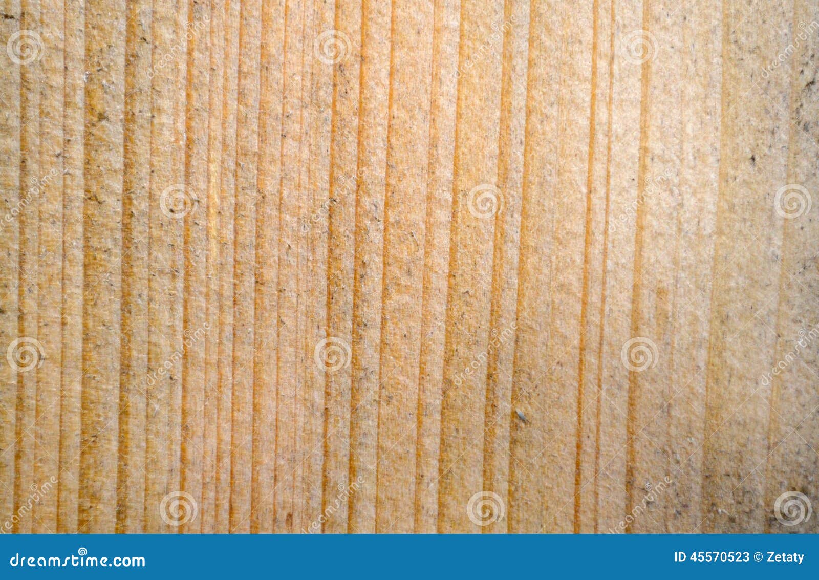 Wood Texture of Cutted Tree Stock Image - Image of cracked, macro: 45570523