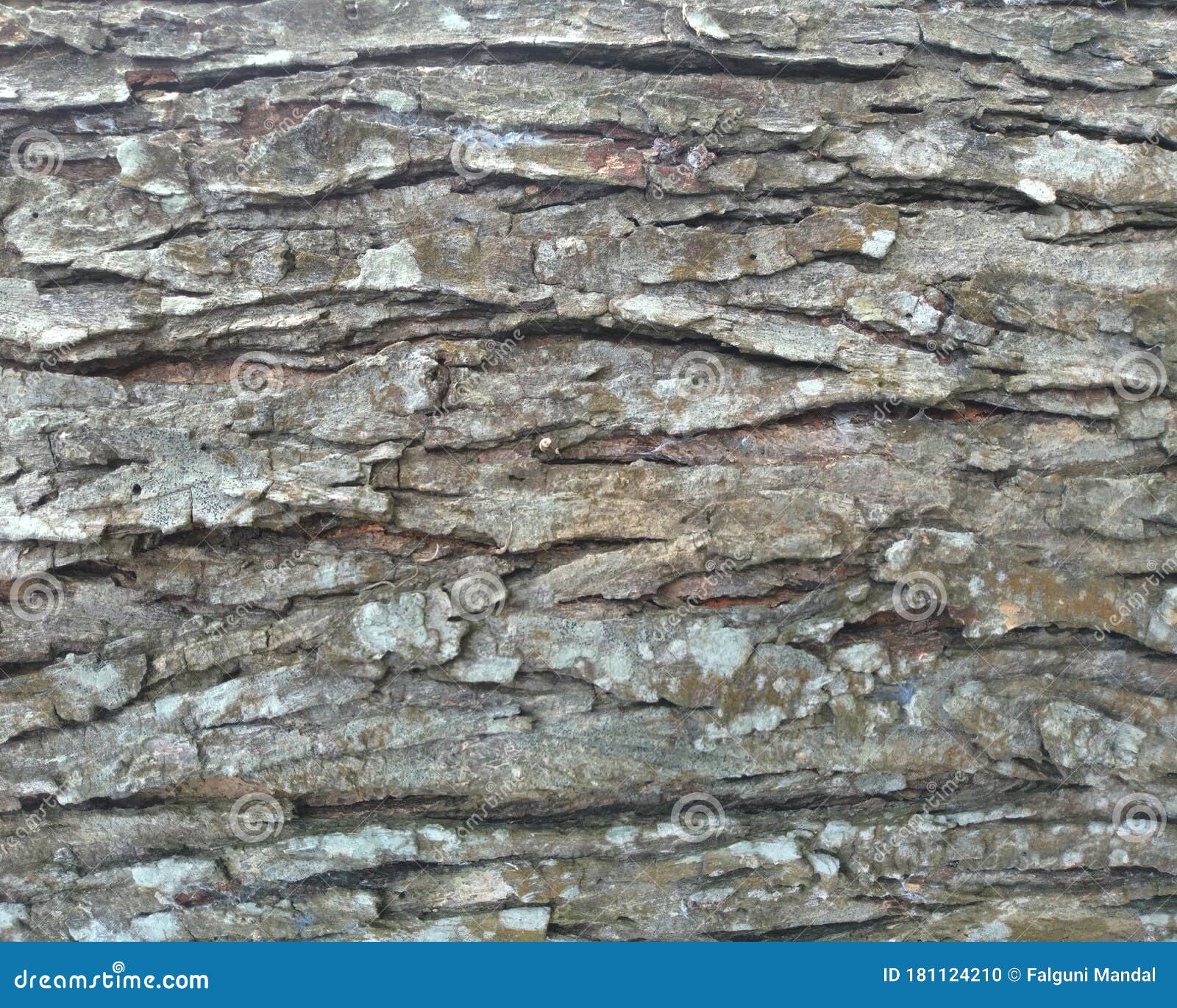 Wood Texture for 3d Texturing. Stock Photo - Image of dirty, nthis ...