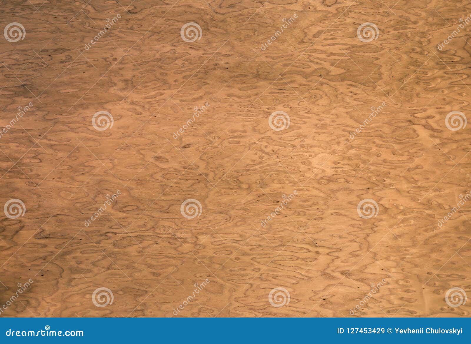 Wood Texture. Decorative Veneer. Walnut Root. Use As Background. Stock ...