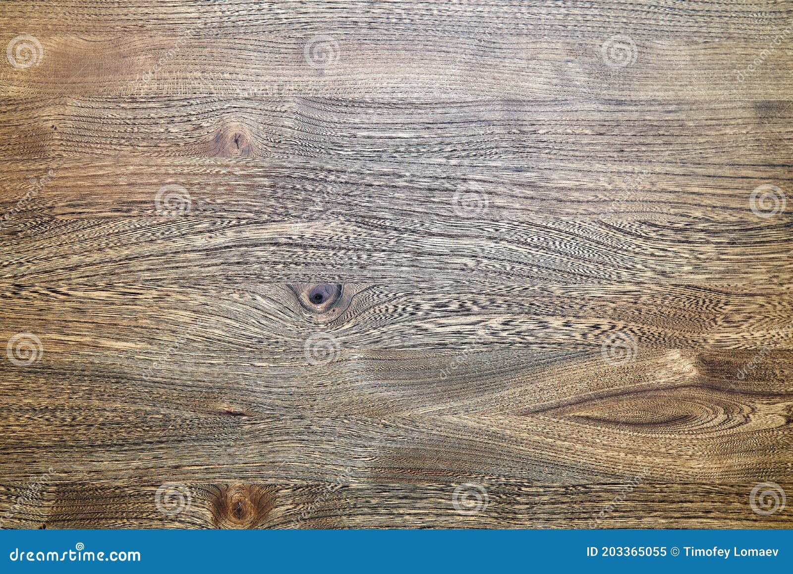 Wood Texture. Elm Wood Texture Stock Image - Image of product, details ...