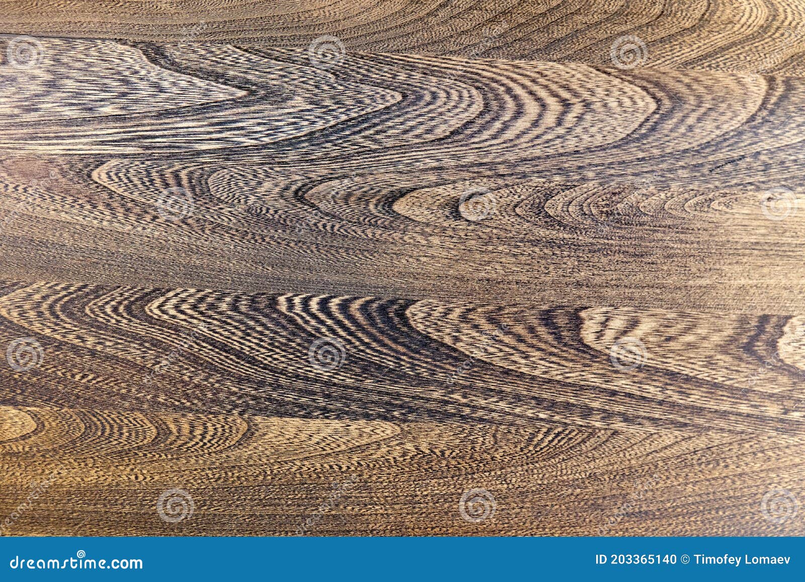 Wood Texture. Elm Wood Texture Stock Photo - Image of detail, business ...
