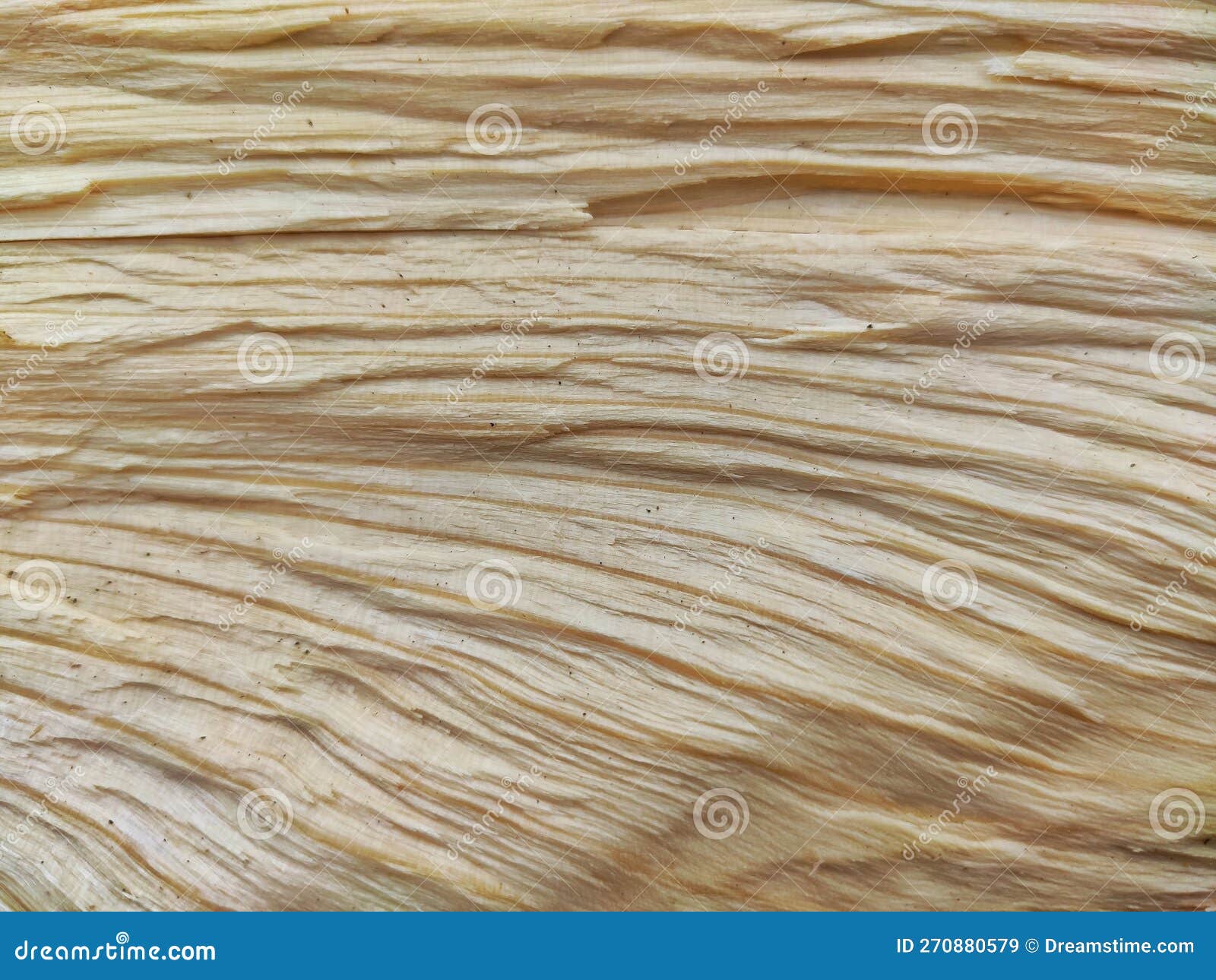 Wood Texture, Firewood Texture Stock Image - Image of wood, beam: 270880579