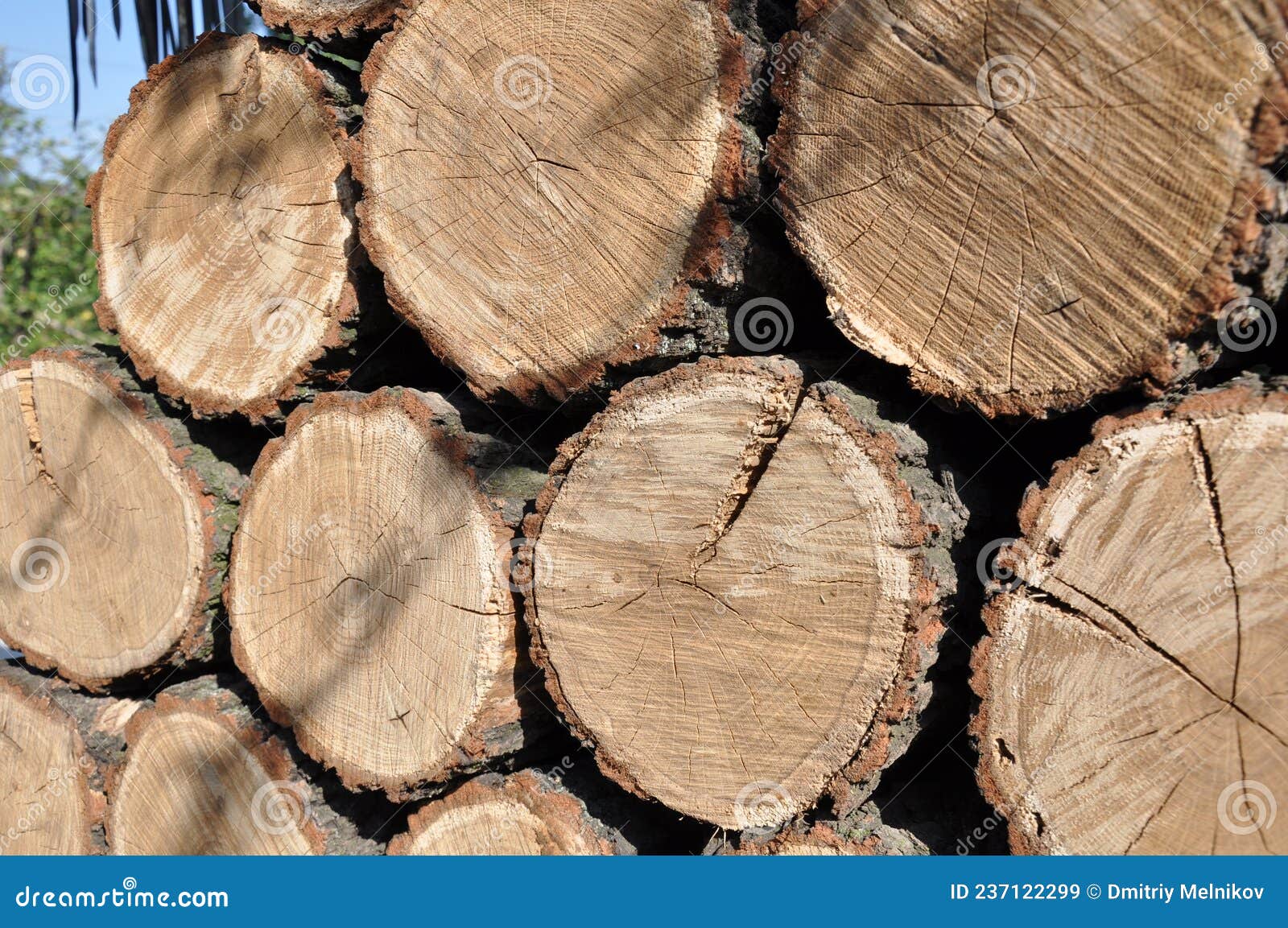 Wood texture, firewood stock image. Image of soil, autumn - 237122299