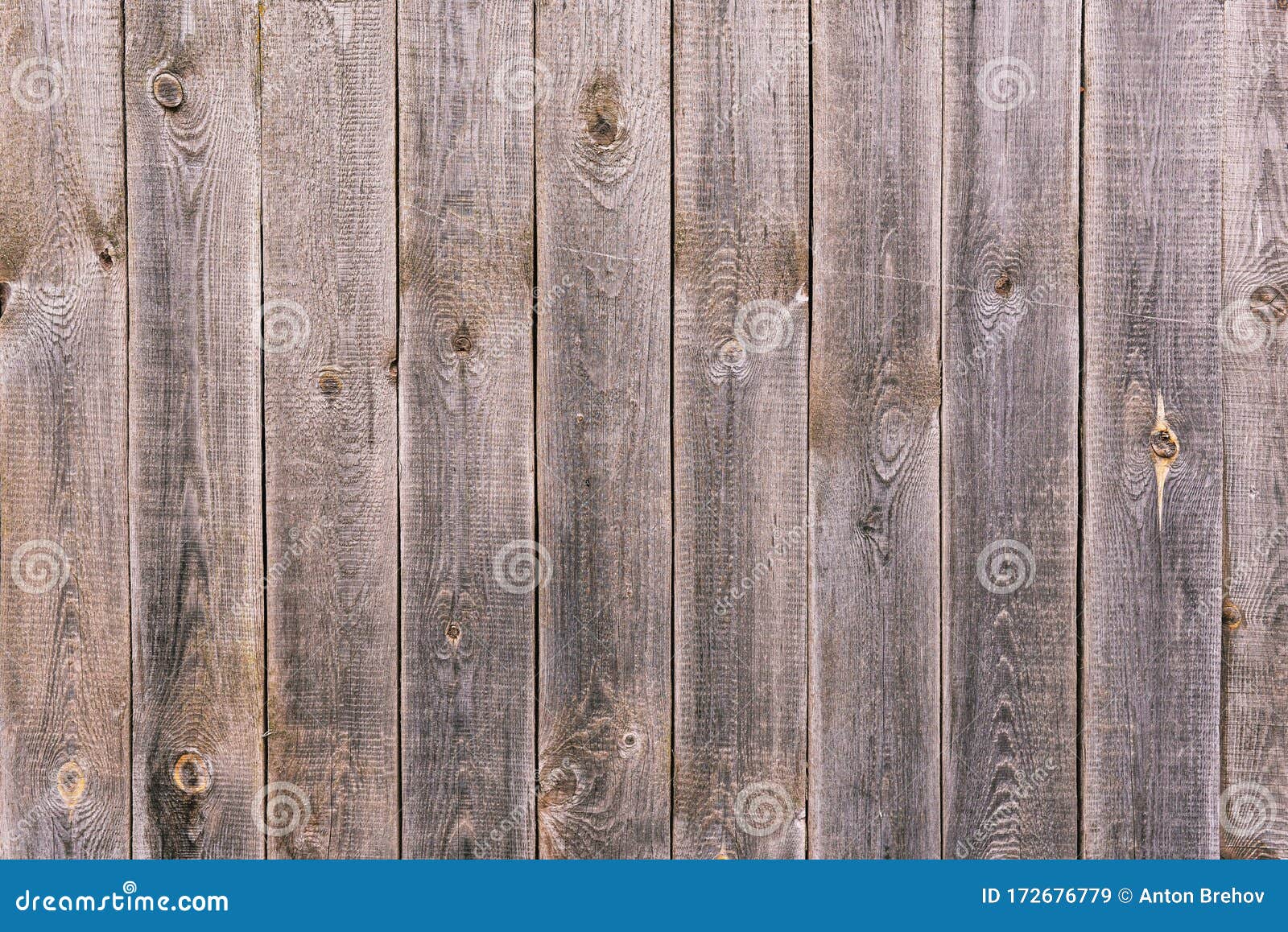 Wood Texture. Gray Boards for Decoration and Design Stock Image - Image ...