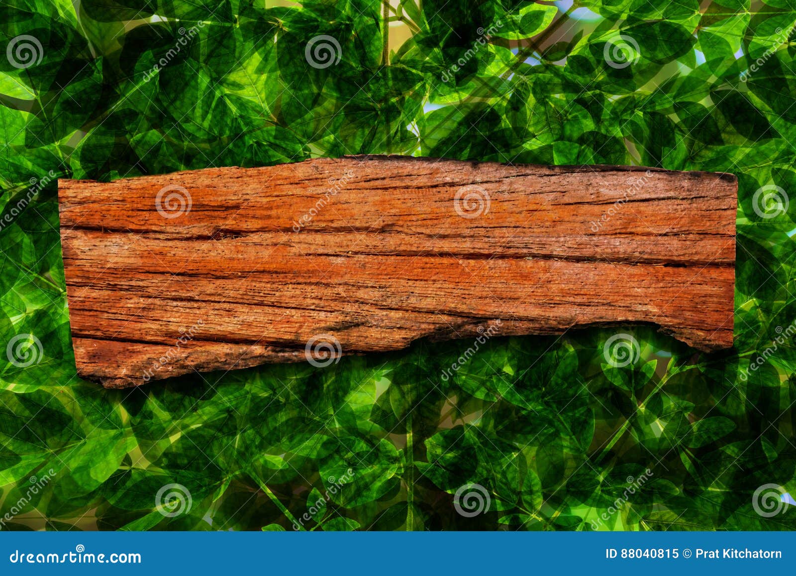 Wood texture Green trees stock image. Image of closeup - 88040815