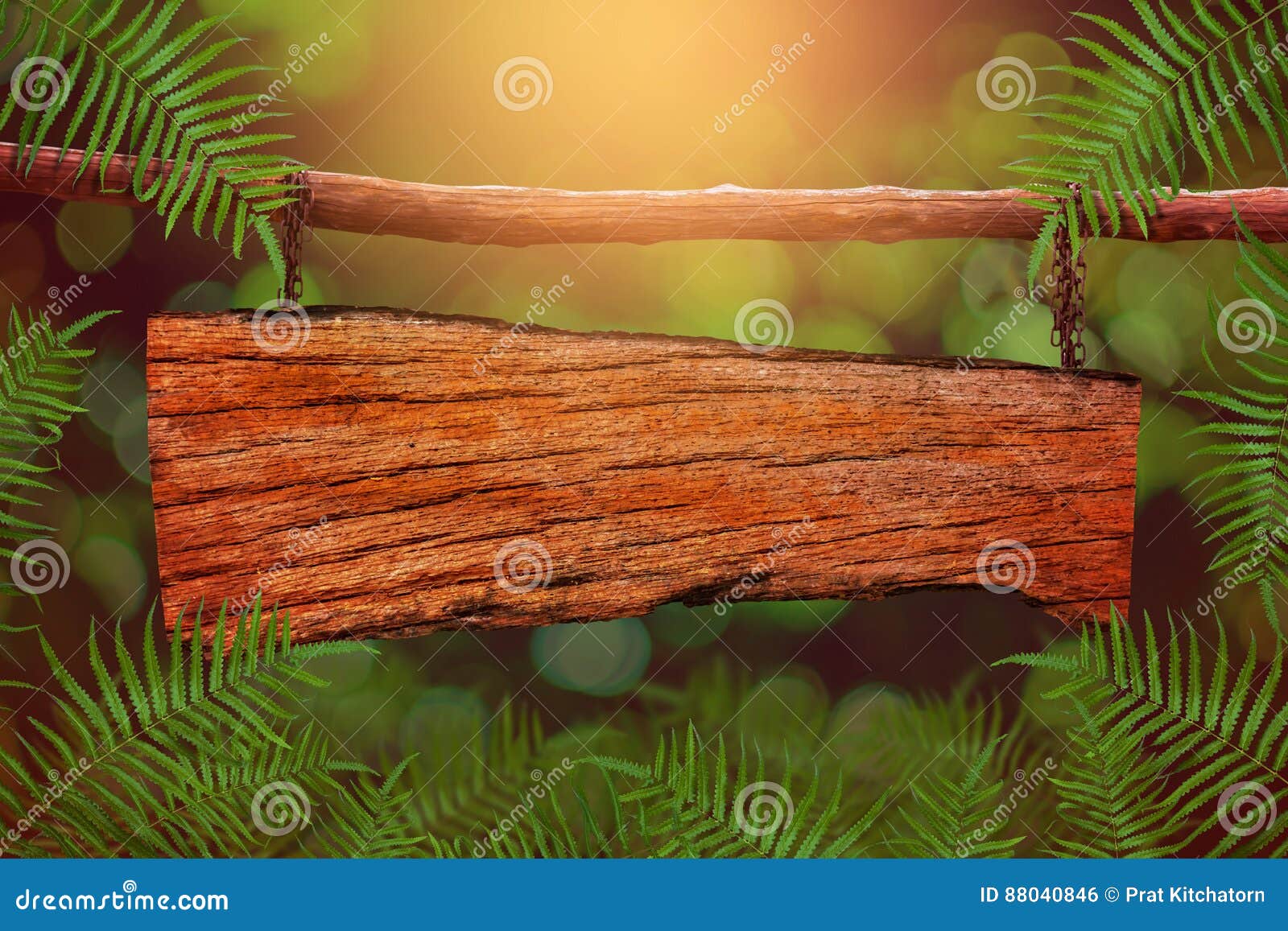 Wood texture Green trees stock photo. Image of growth - 88040846