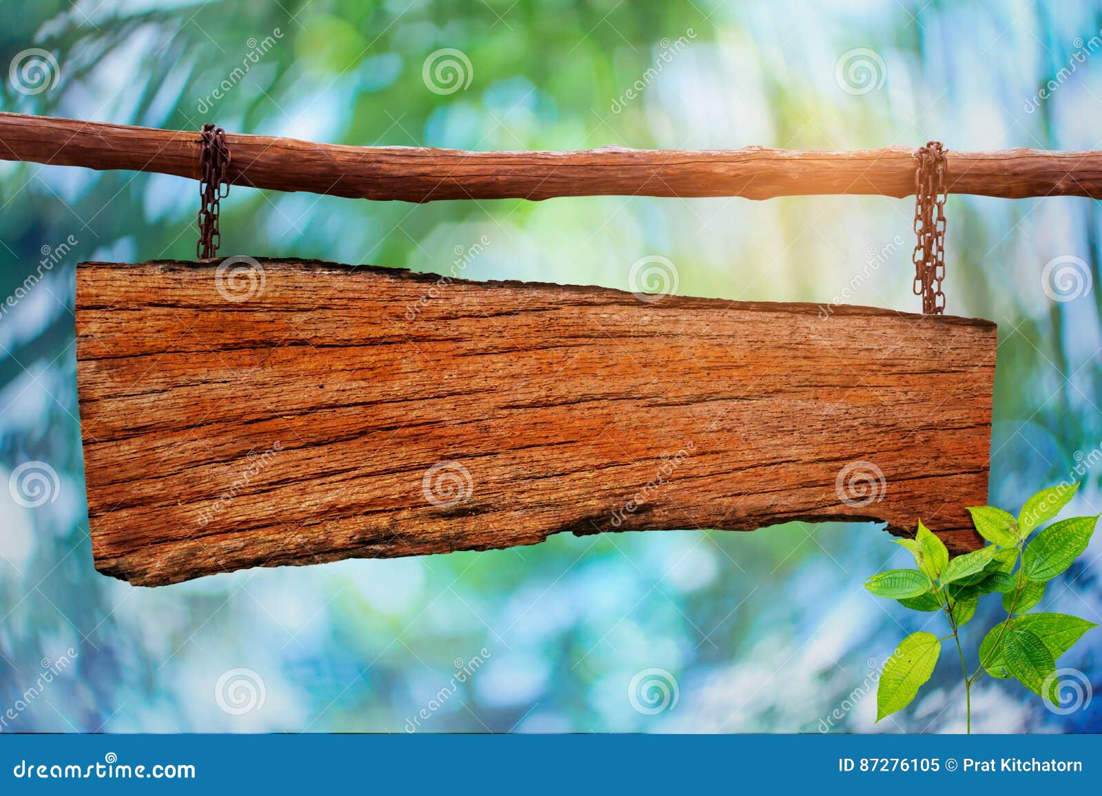 Wood Texture Green Trees and Leaf Greenery Stock Image - Image of ...
