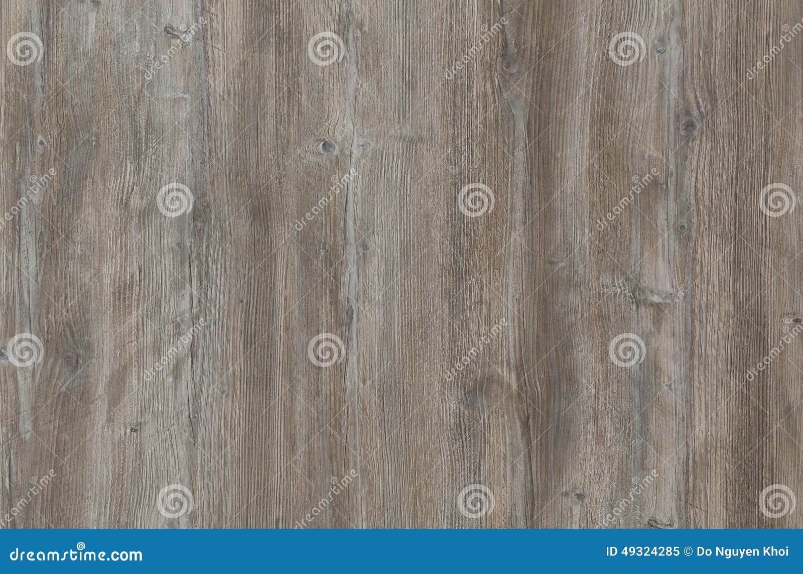 Wood texture - Grey Oak stock image. Image of abstract - 49324285