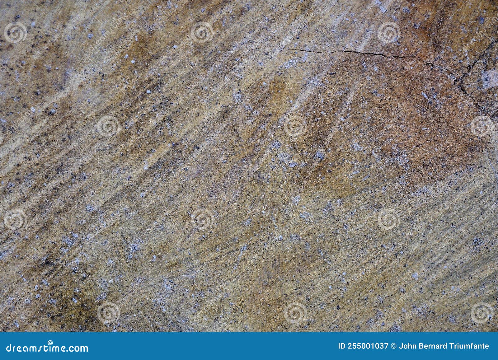 Texture Grudge Paper Stock Photography | CartoonDealer.com #12441848