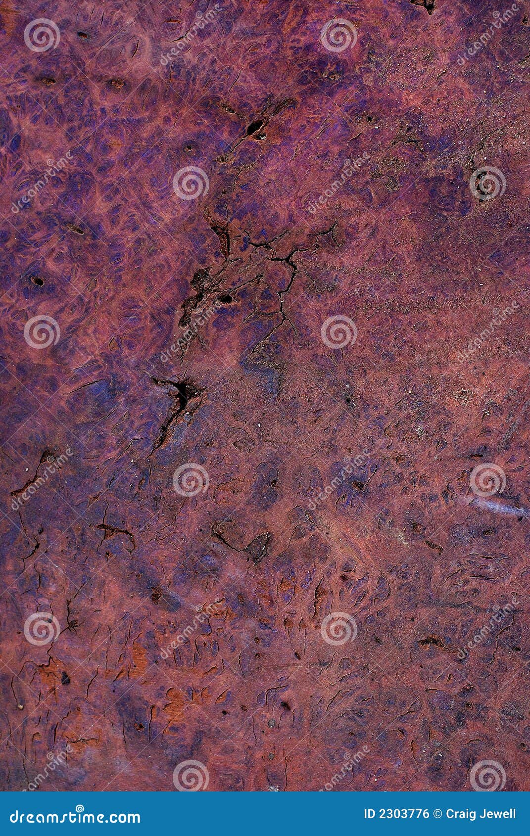 Wood Texture: Jarrah stock photo. Image of carpentry, jarrah - 2303776