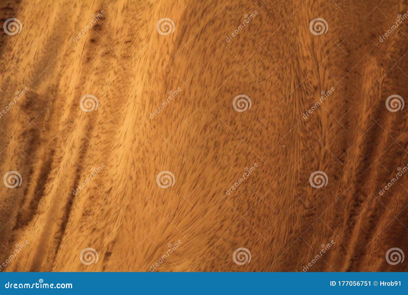 Wood Texture Kempas Flooring Smooth Small Grain Stock Illustration ...