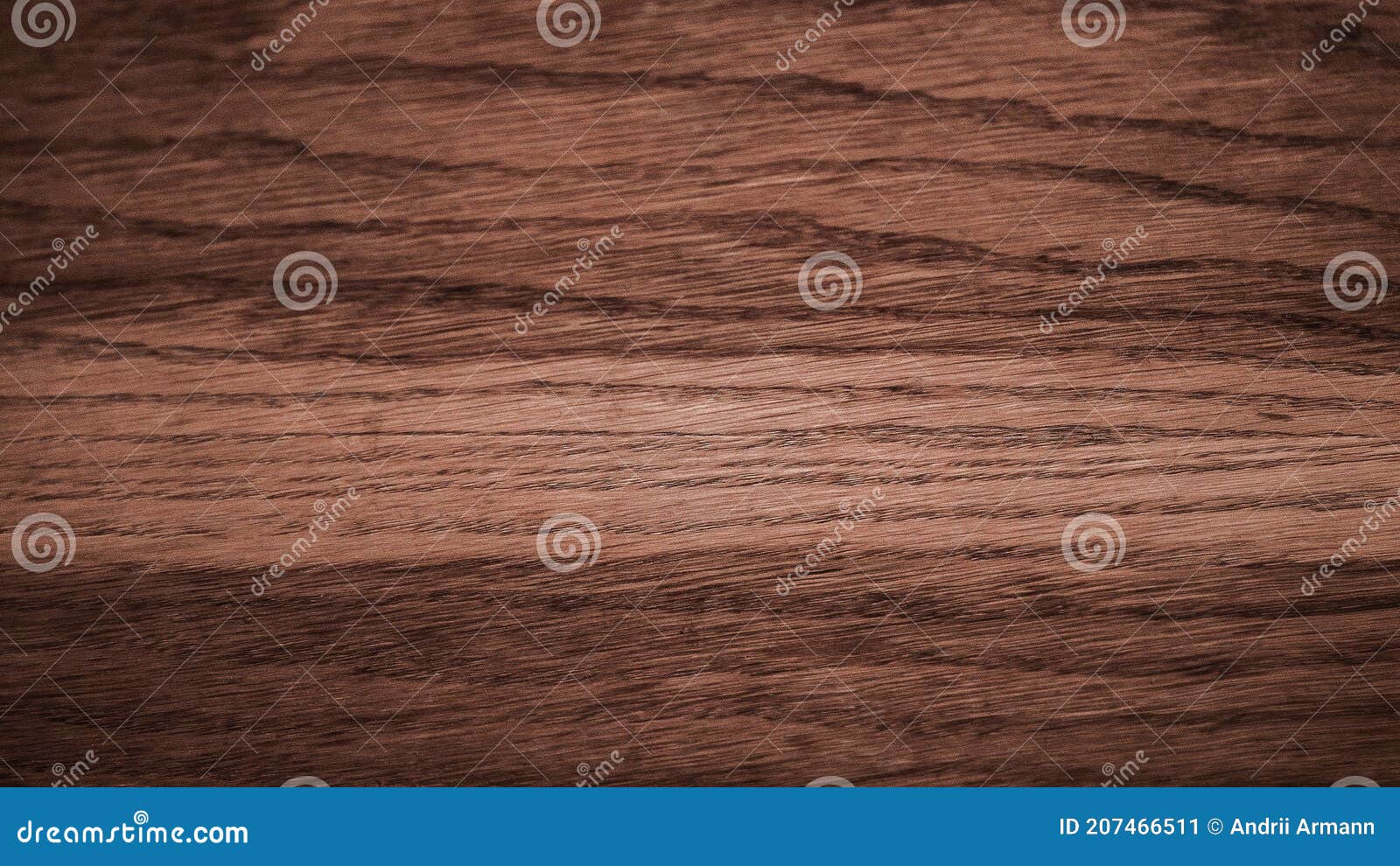Wood Texture, Light Walnut Wood. Stock Image - Image of closeup ...