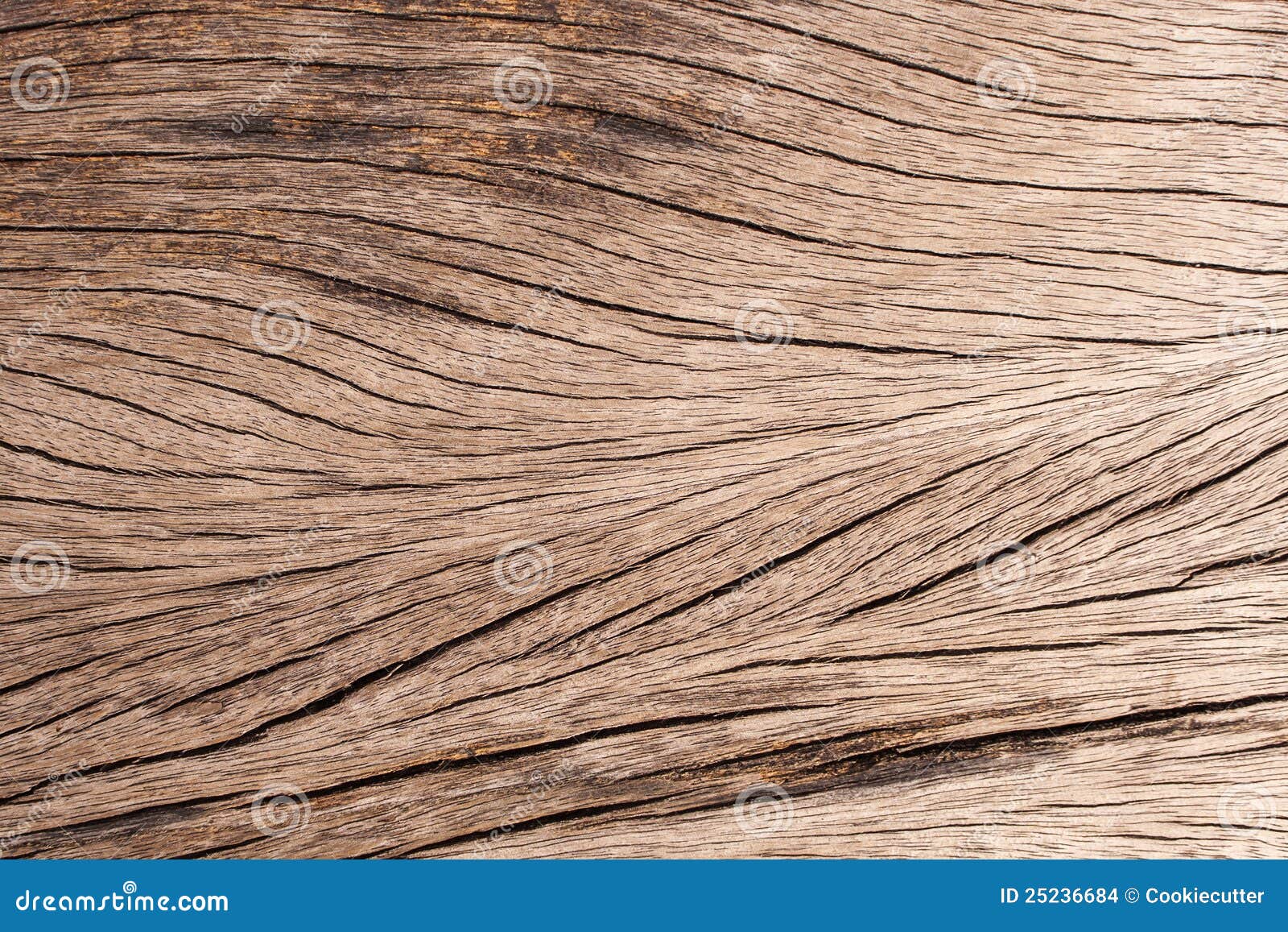 Wood texture line stock photo. Image of pattern, border - 25236684