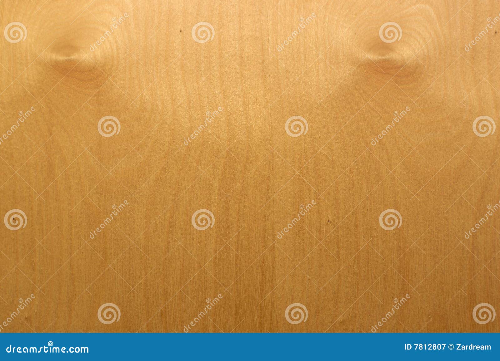 Wood texture - maple stock image. Image of board, graded - 7812807