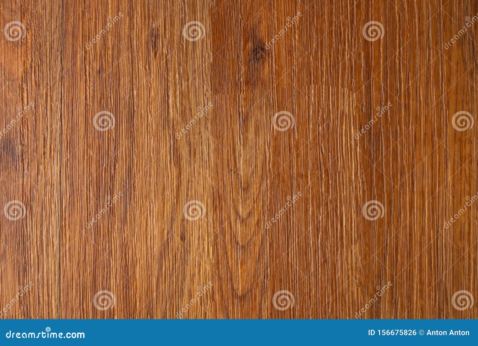 Wood Texture, Wood Material Close-up Macro, High Resolution Stock Photo ...