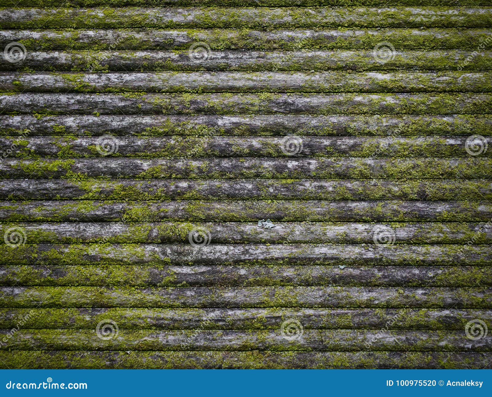 Wood texture, with moss stock photo. Image of rustic - 100975520