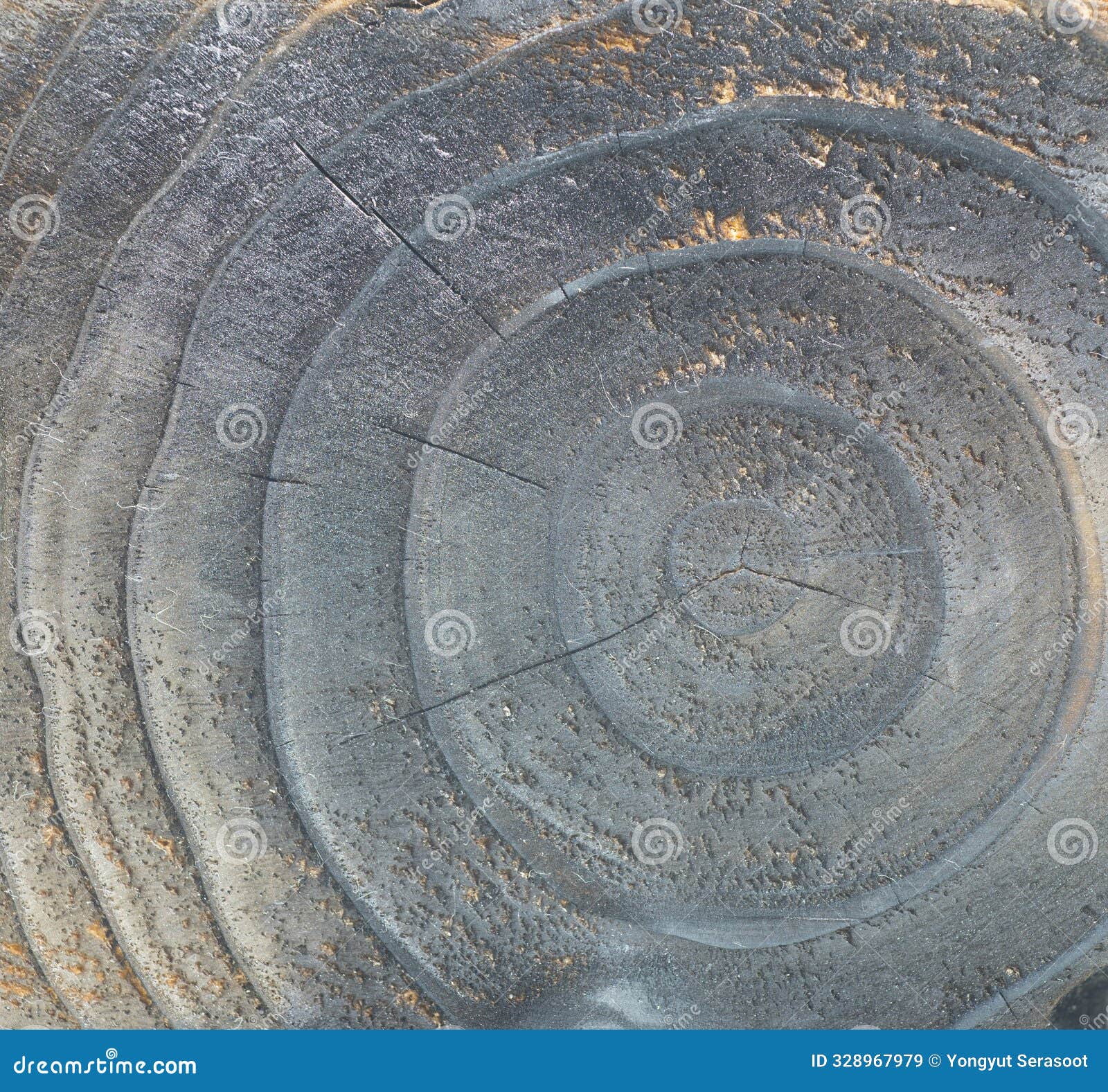 Wood Texture that is a Natural Wood Core Stock Image - Image of nature ...